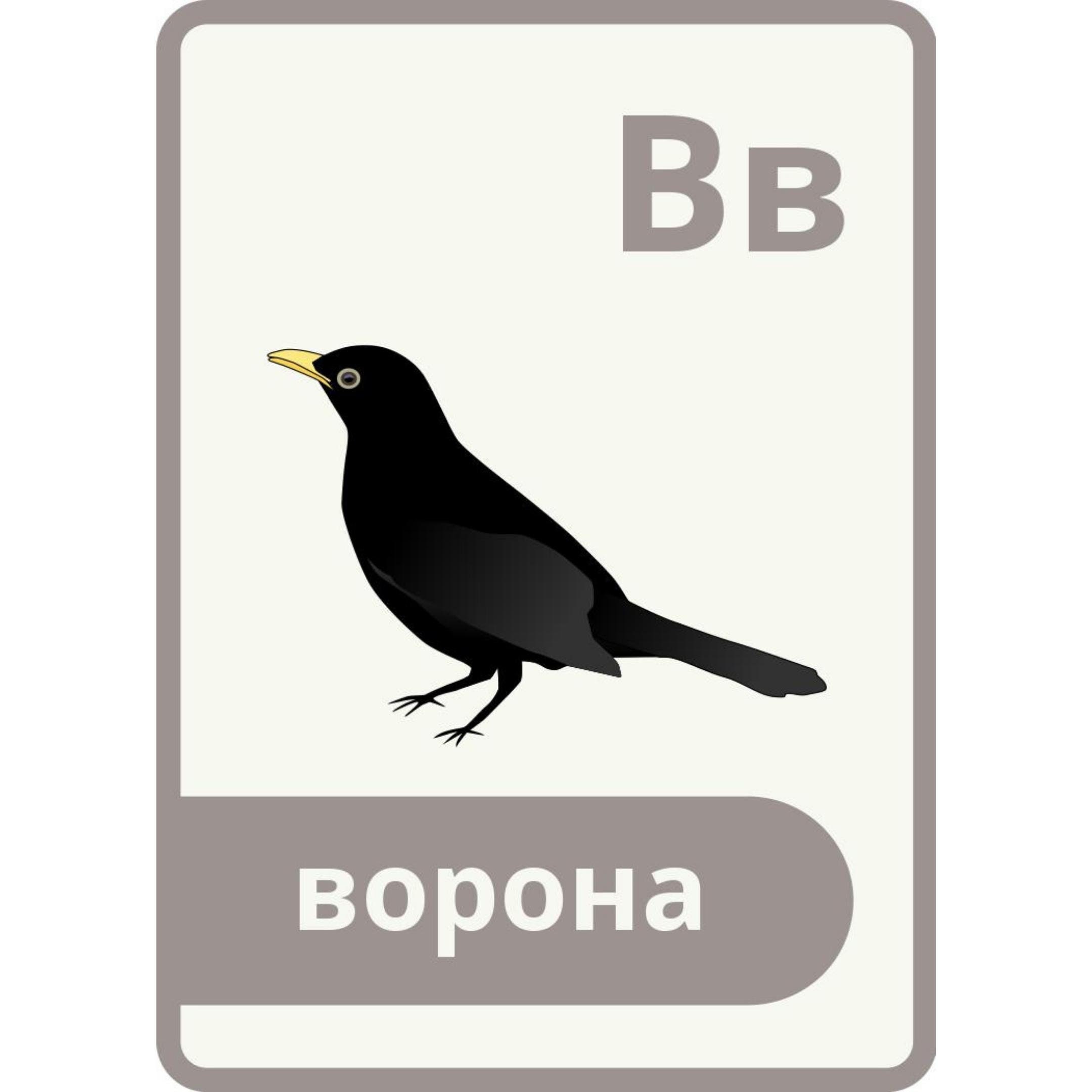 Printable Set of Cards Russian Alphabet Animal Theme, Animal Alphabet ...