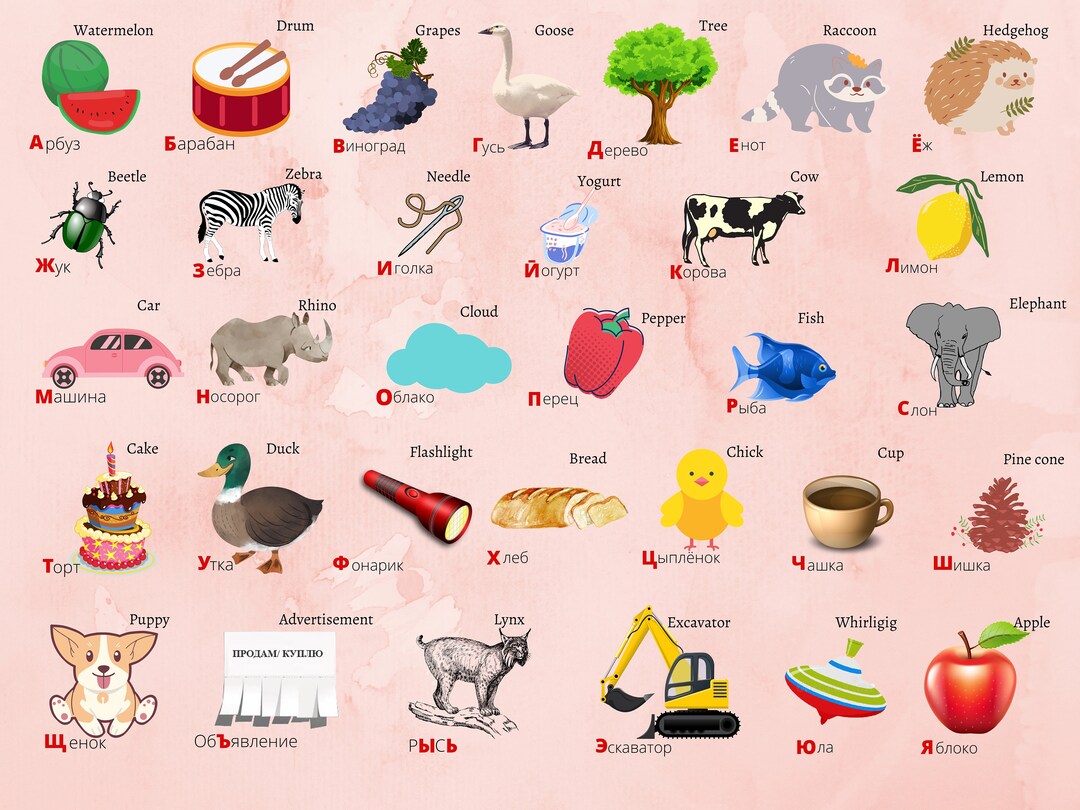 Bilingual Russian Alphabet Poster Translated Laminated 18x24 In - Etsy