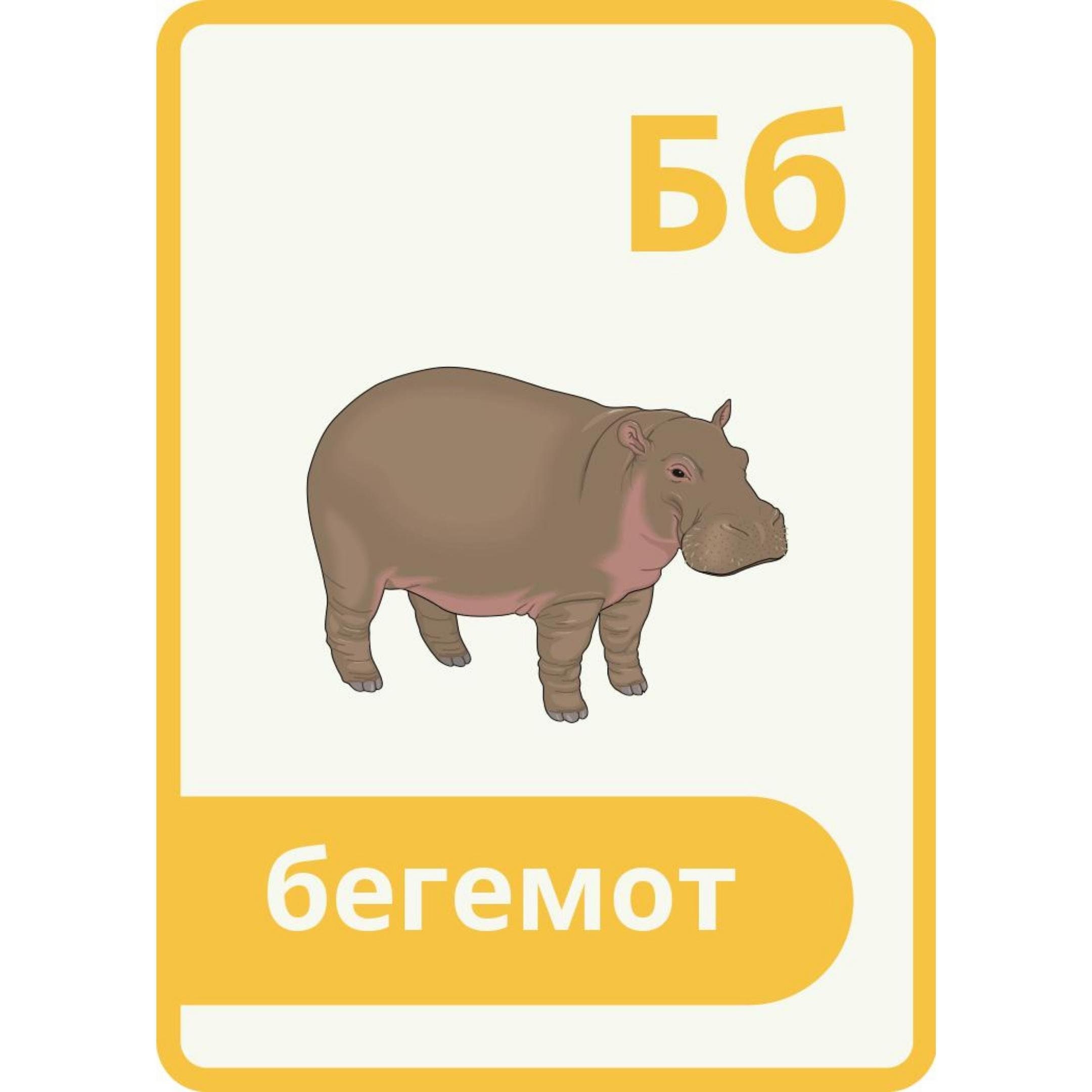 Printable Set of Cards Russian Alphabet Animal Theme, Animal Alphabet ...