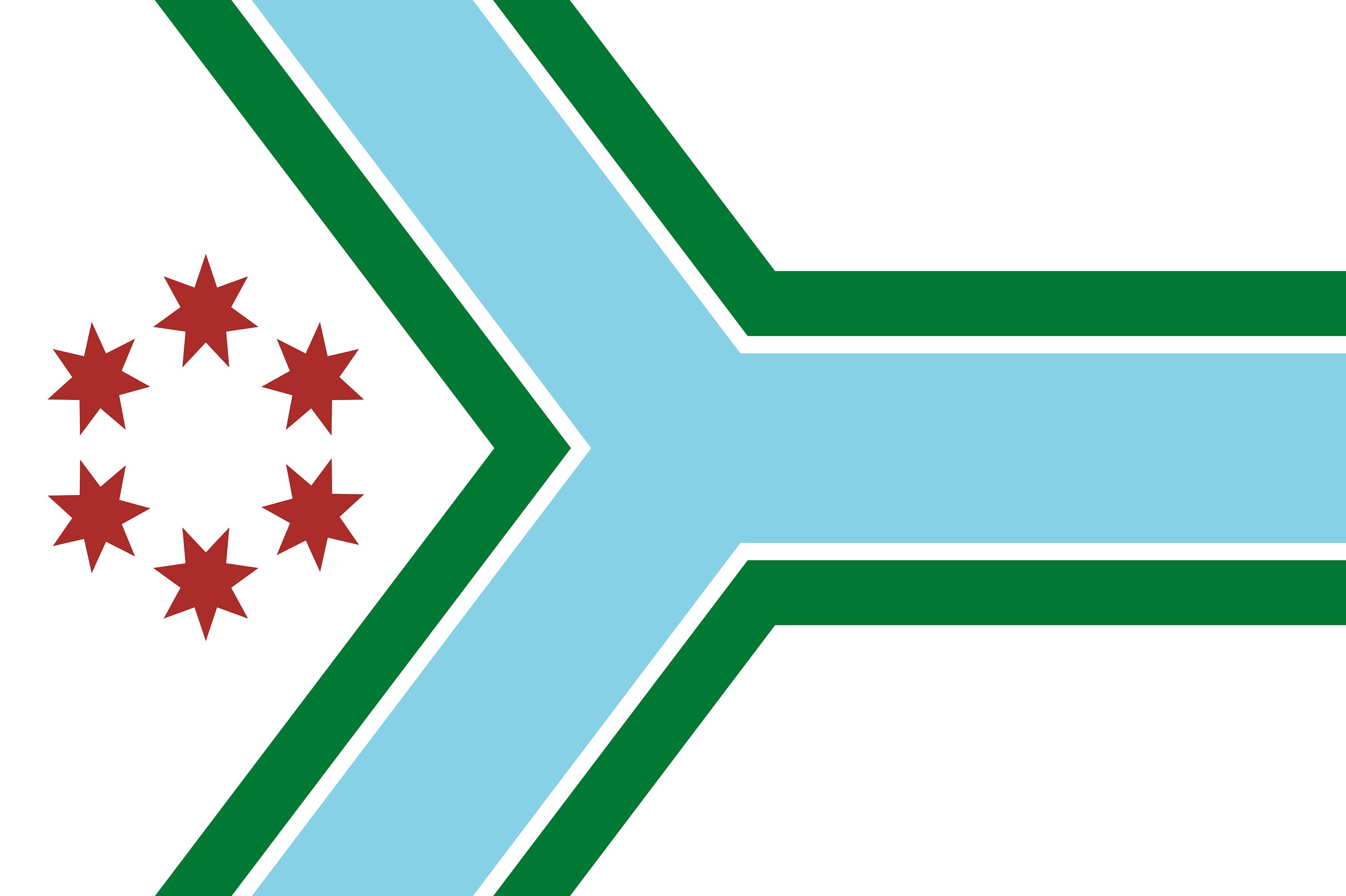 Cook County Flag, Unique Design Print, Double Seams, Bright Colours ...