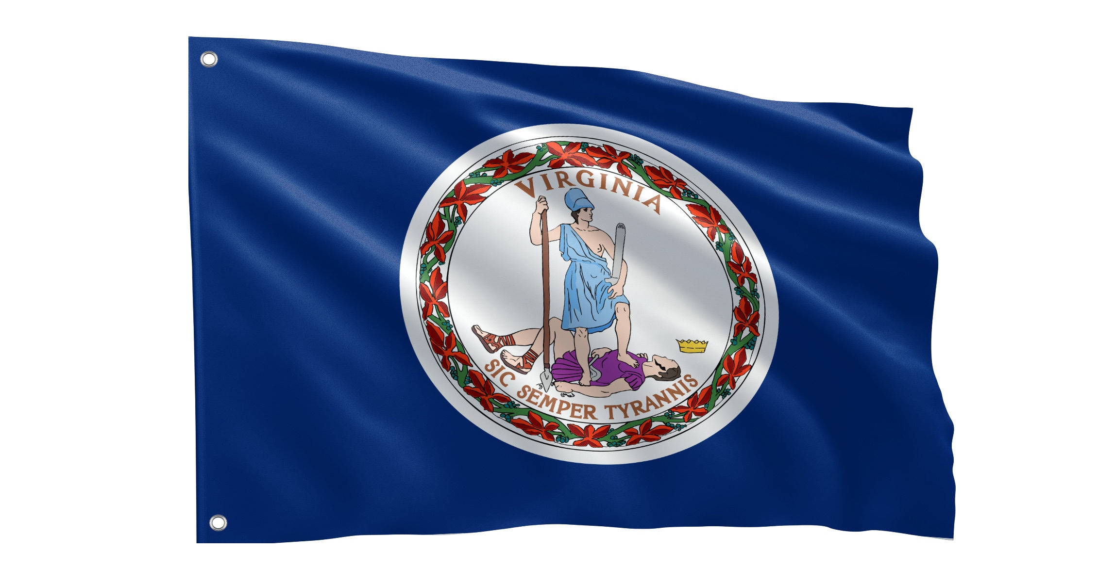 Virginia State Flag, Patriotic Flags, Unique Design Print, USA States ...