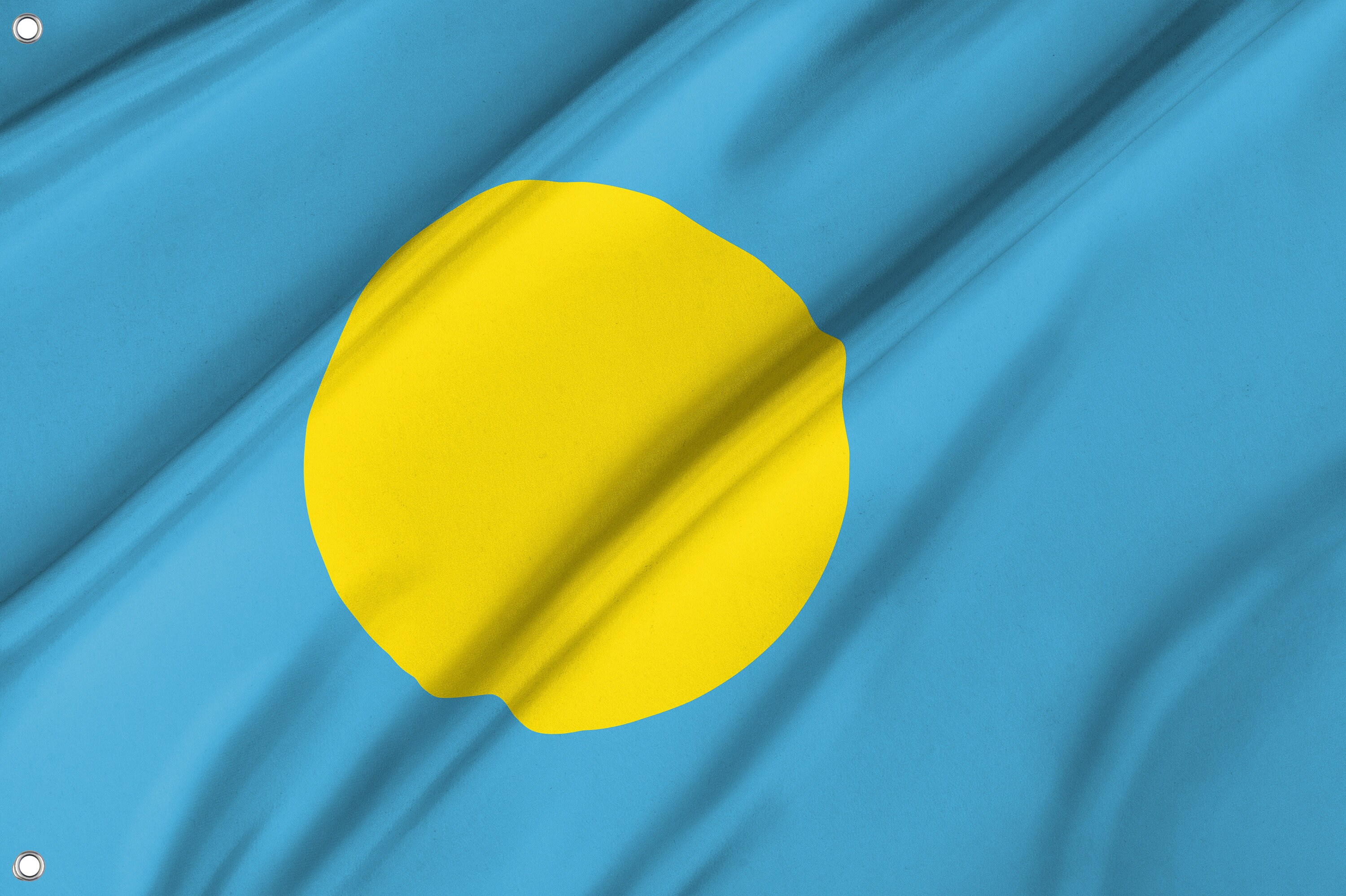Flag of Palau Patriotic Flags Unique Design Print Flags for - Etsy