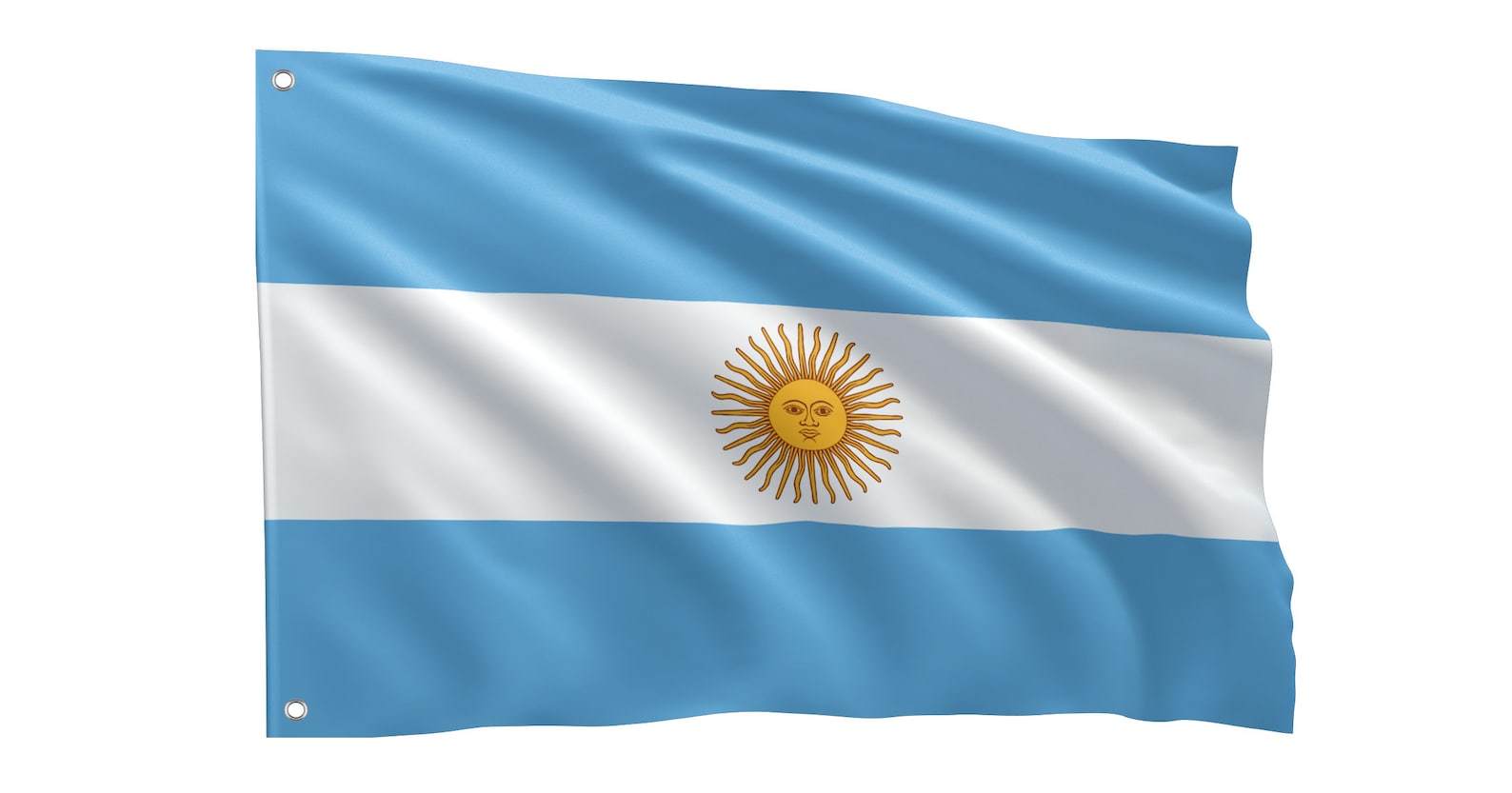 Flag of Argentina, Patriotic Flags, Unique Design Print, Flags for ...