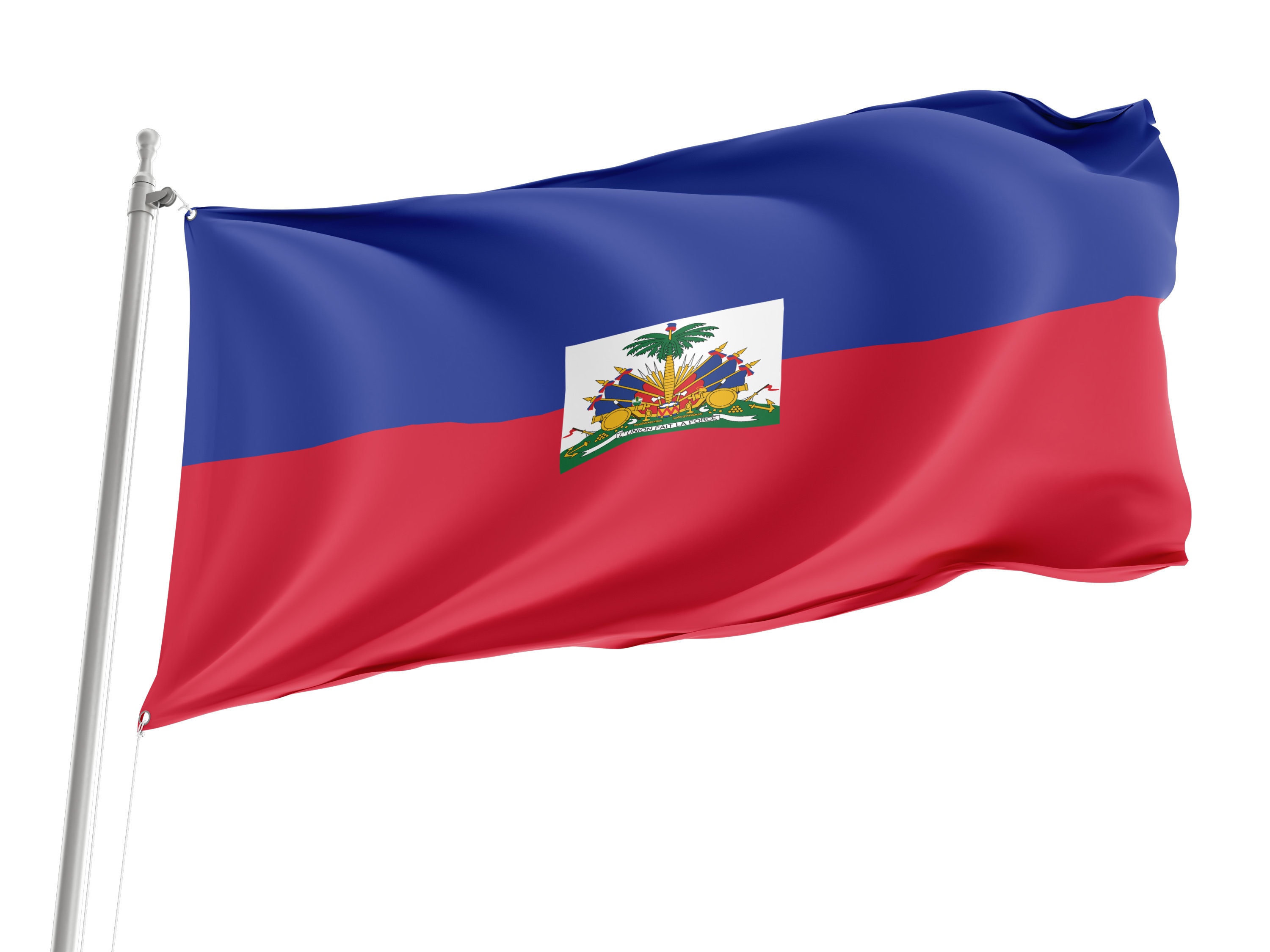 Flag of Haiti, Patriotic Flags, Unique Design Print, Flags for Indoor ...