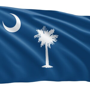 South Carolina State Flag, Patriotic Flags, Unique Design Print, USA ...