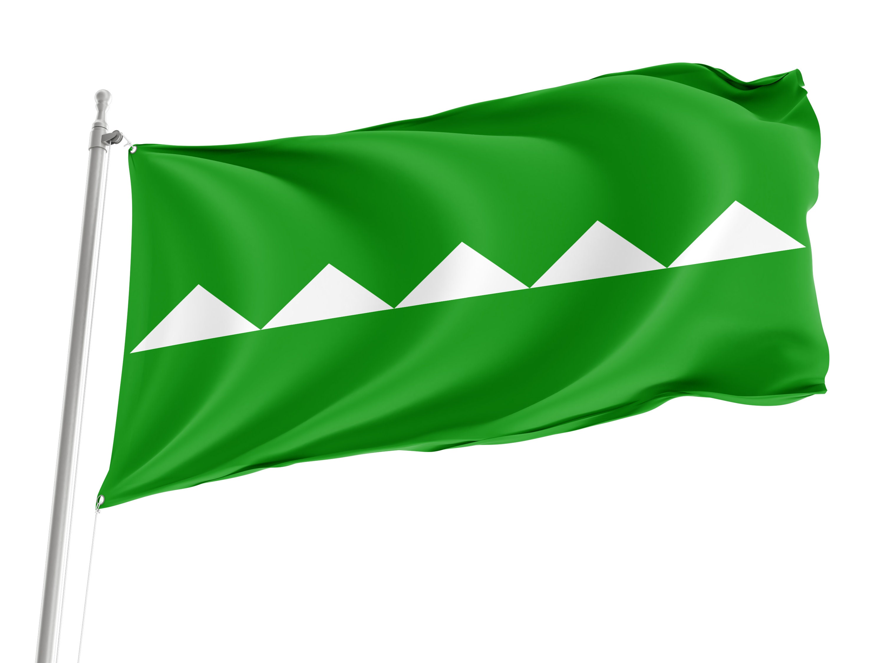 Flag Salinas, Puerto Rico, Unique Design Print, Flags for Indoor ...