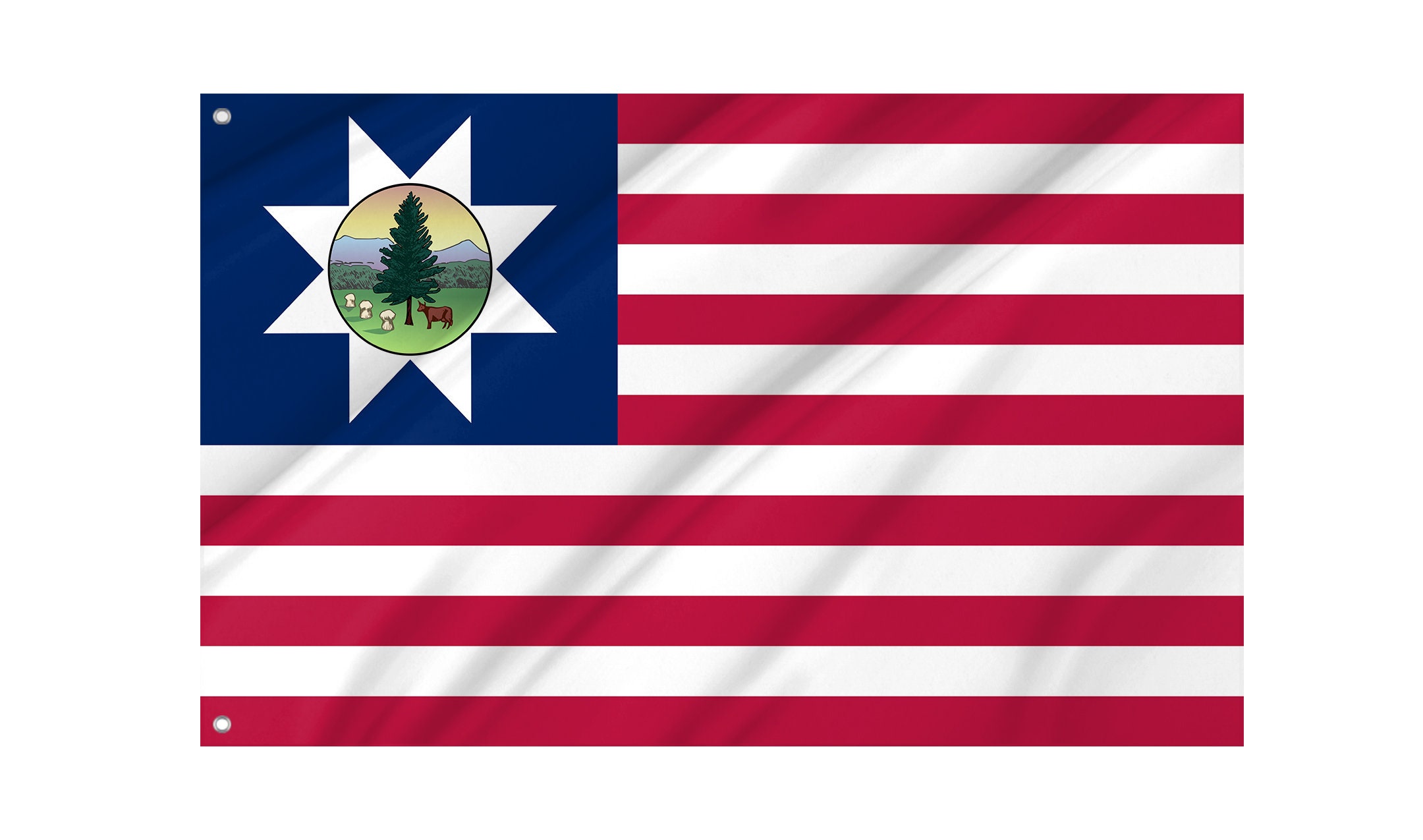 Vermont 1837-1923 Flag: Unique Design, Bright Colors (3x5ft / 90x150cm ...