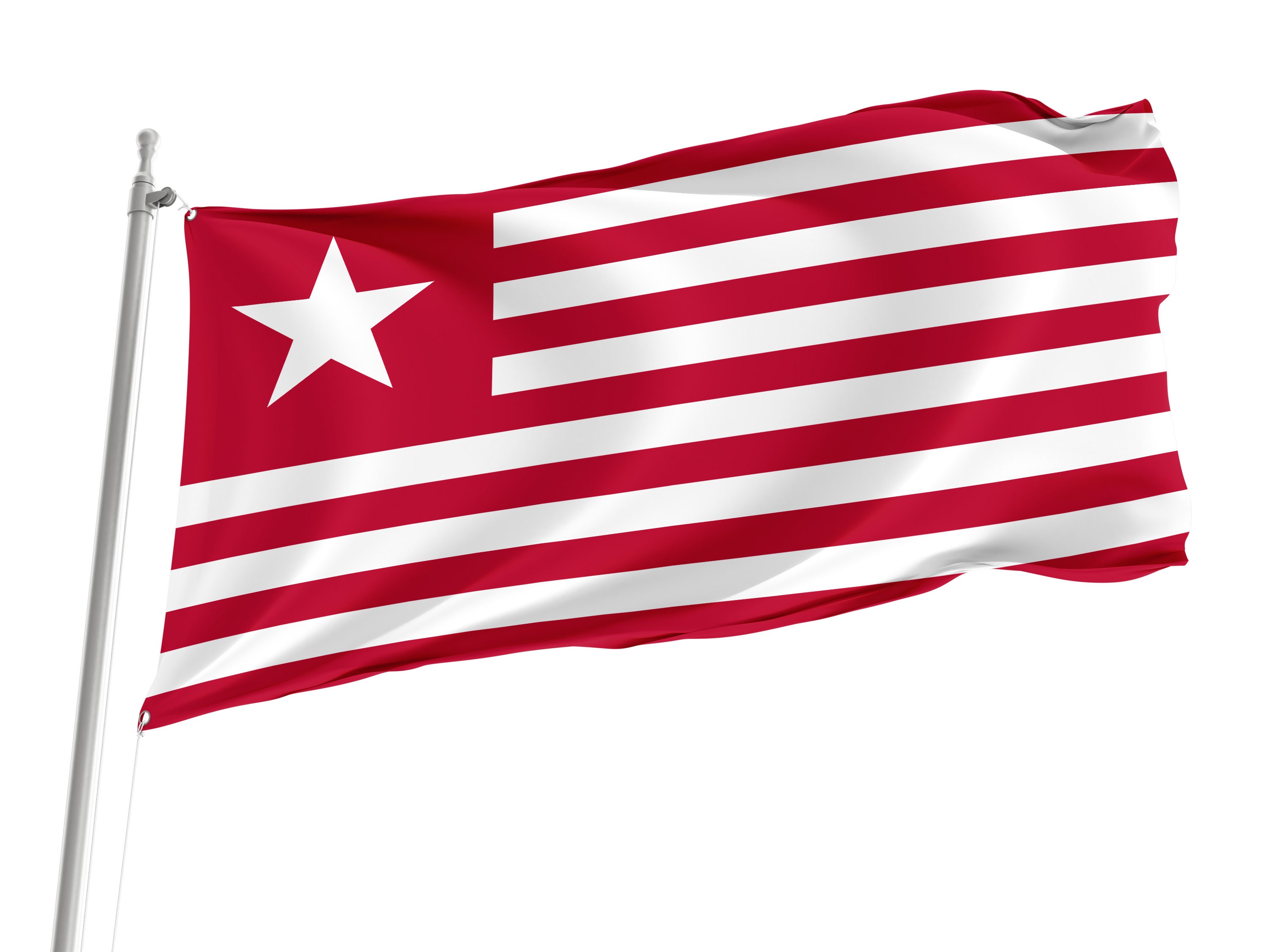 Colonel James Long's Flag, Unique Design Print, Double Sided Large Flag ...