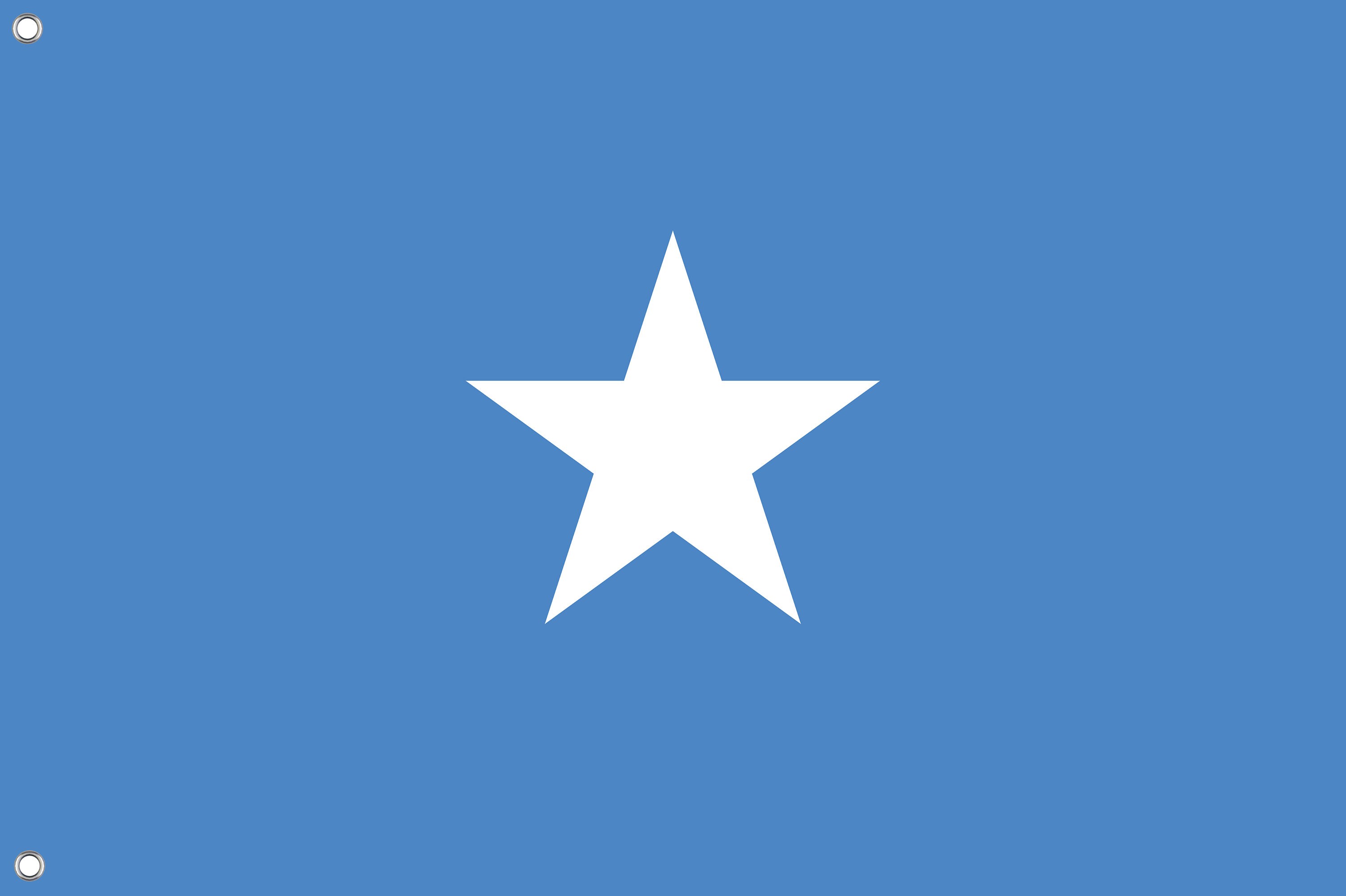 Flag of Somalia, Patriotic Flags, Unique Design Print, Flags for Indoor ...