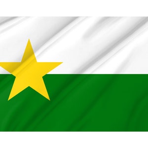 Forsyth County, North Carolina Flag: Bright Colors, Reinforced Fabric ...