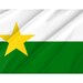Forsyth County, North Carolina Flag: Bright Colors, Reinforced Fabric ...