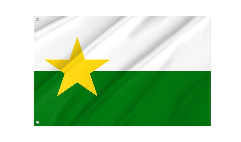Forsyth County, North Carolina Flag: Bright Colors, Reinforced Fabric ...
