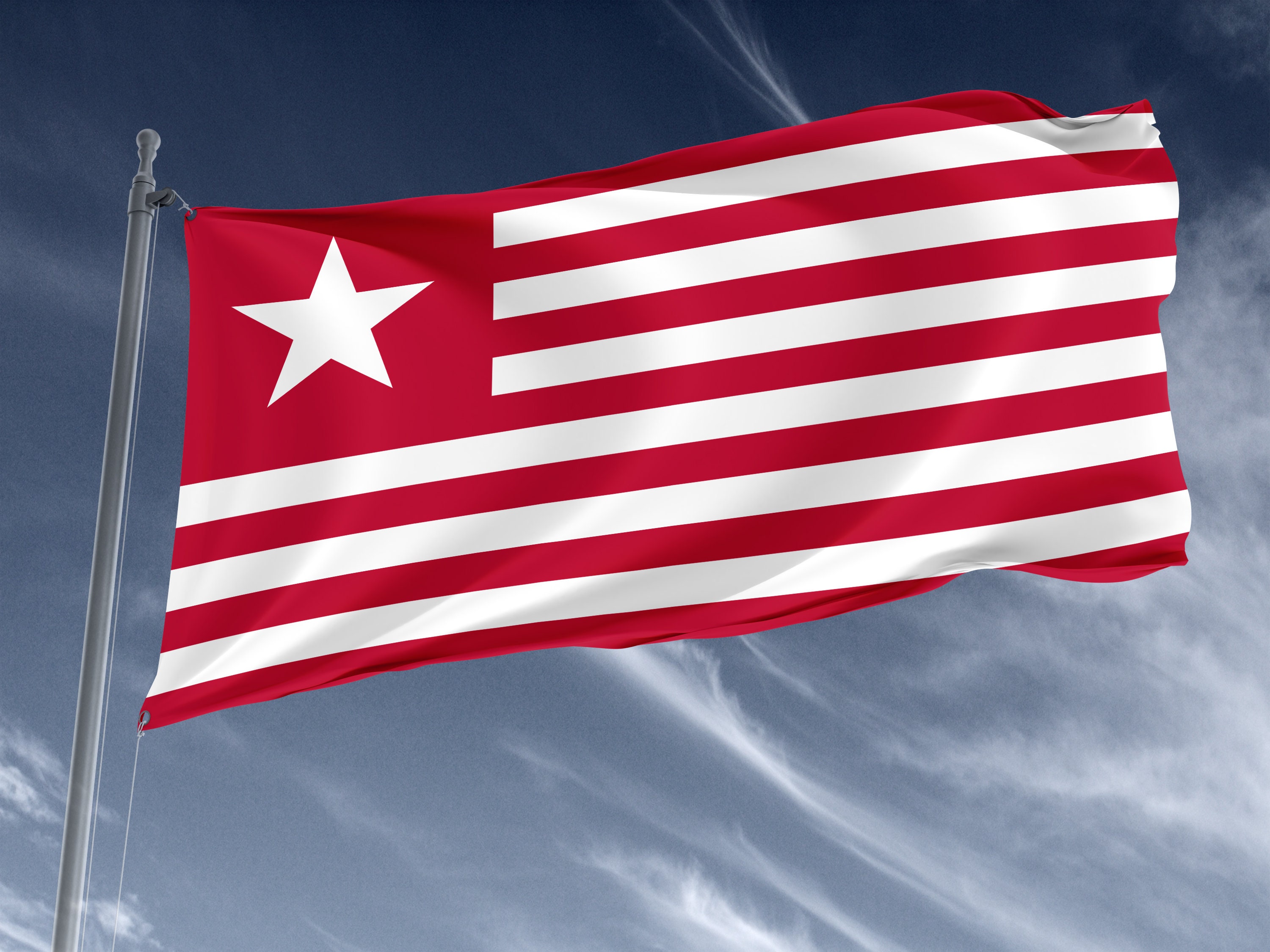 Colonel James Long's Flag, Unique Design Print, Double Sided Large Flag ...