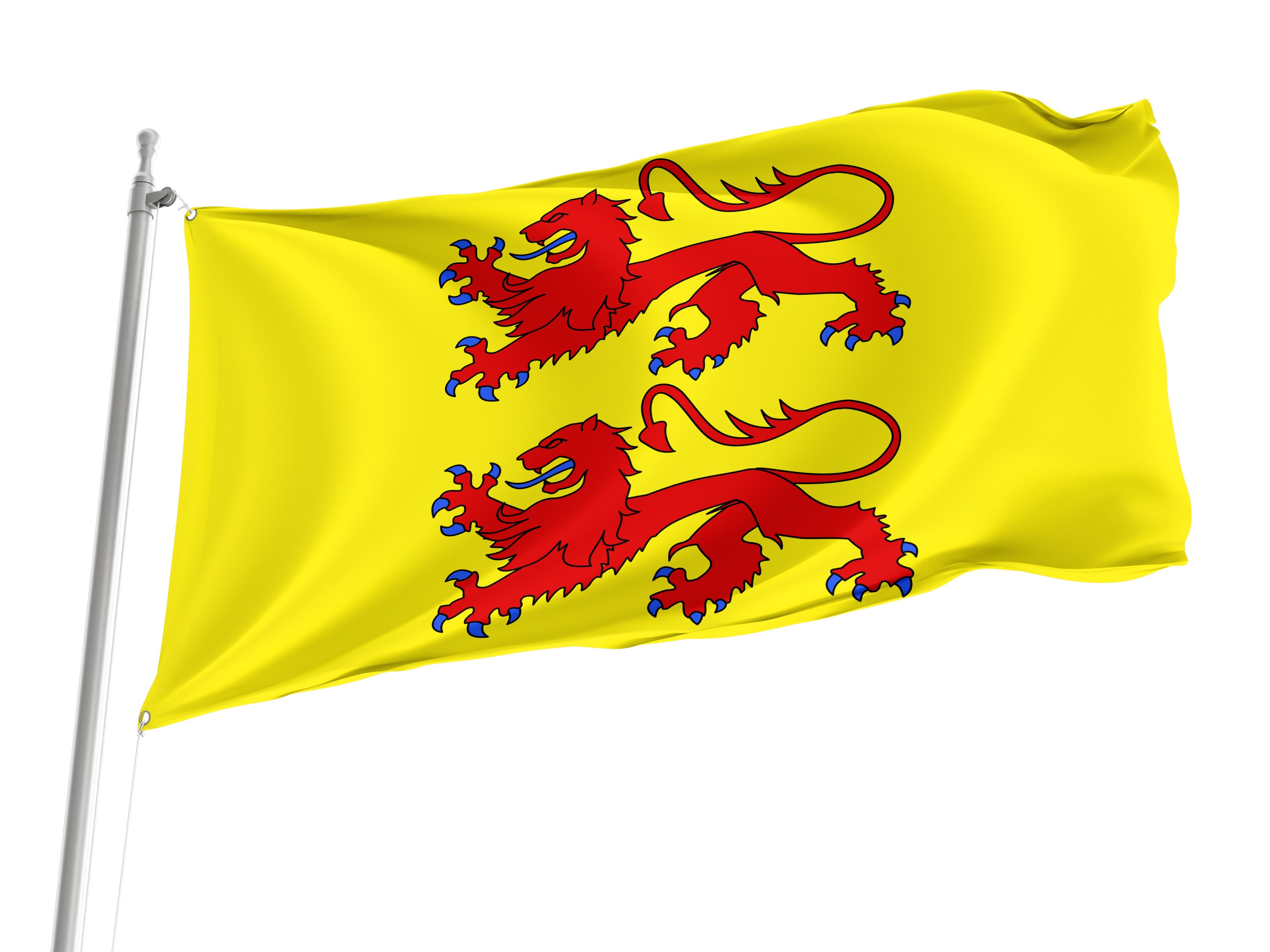 Flag of French Departement Hautes-pyrénées With Brass Grommets, Unique ...