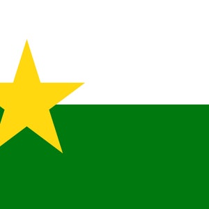 Forsyth County, North Carolina Flag: Bright Colors, Reinforced Fabric ...