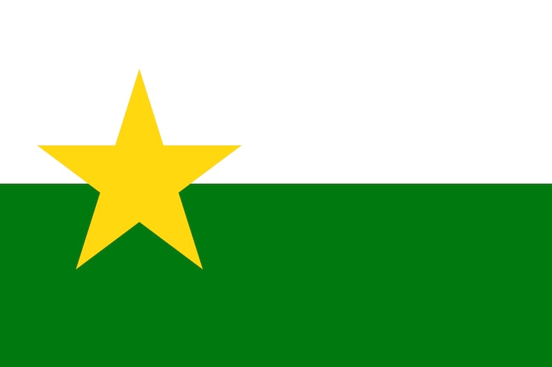 Forsyth County, North Carolina Flag: Bright Colors, Reinforced Fabric ...