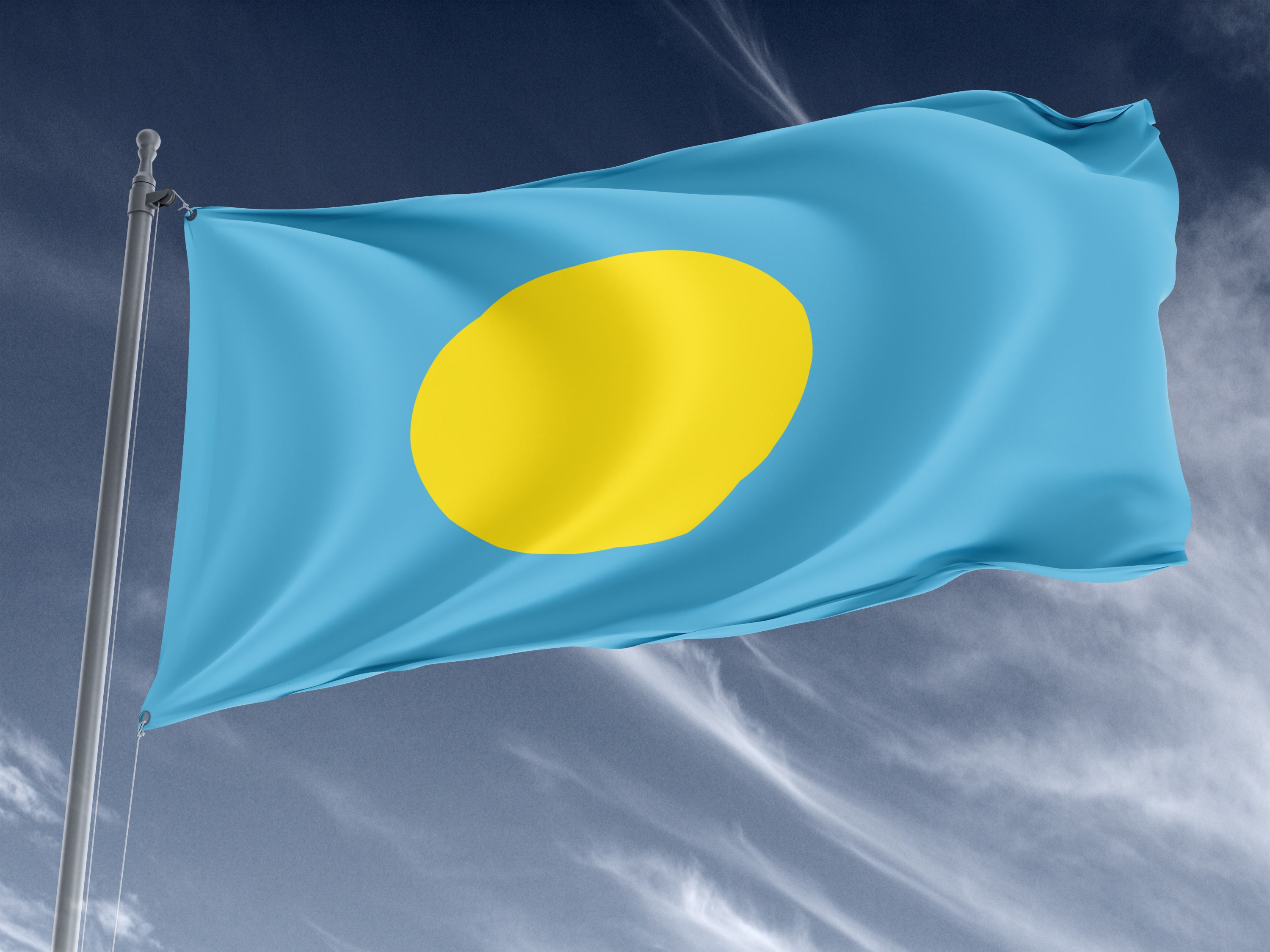 Flag of Palau Patriotic Flags Unique Design Print Flags for - Etsy