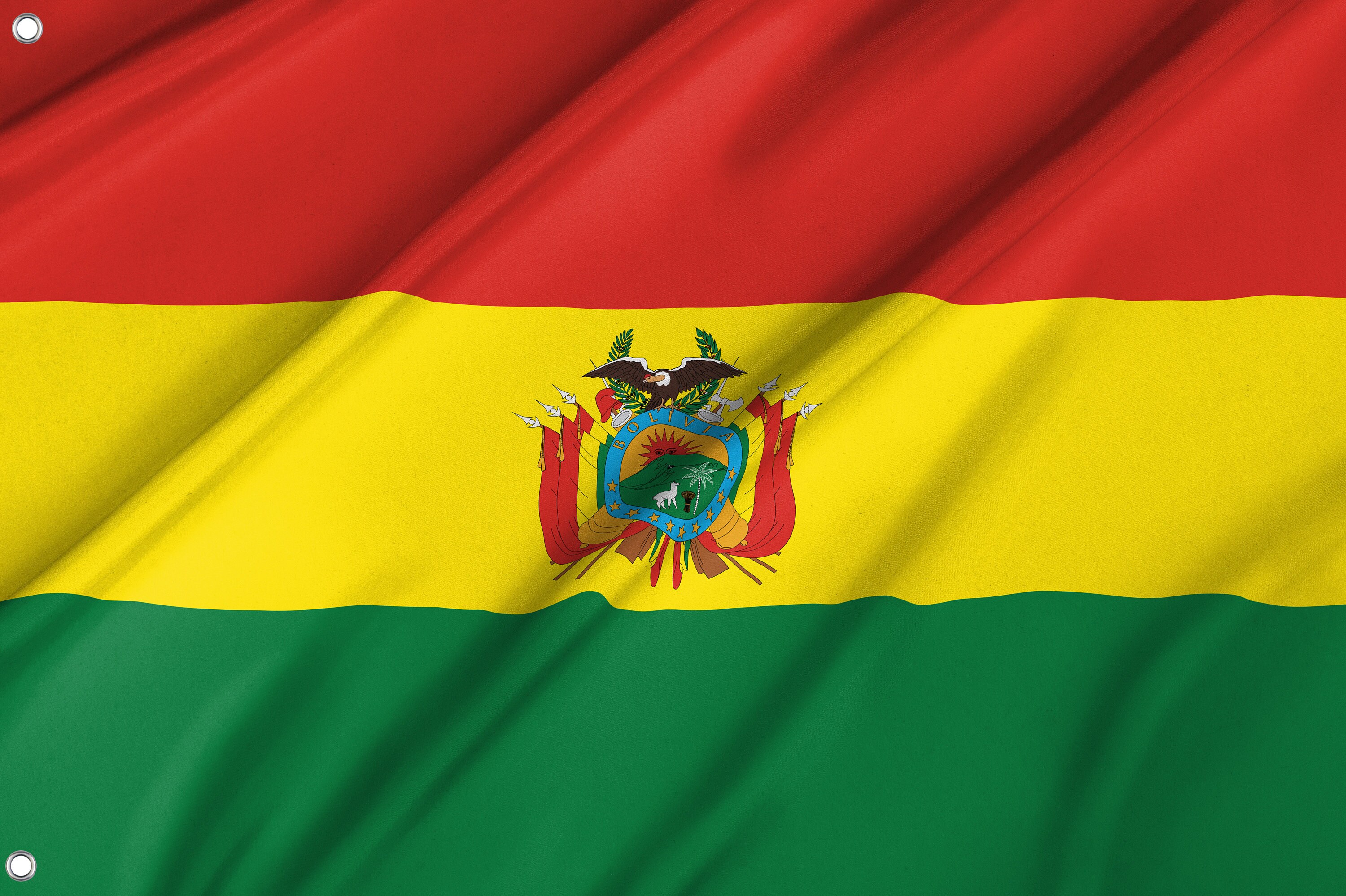 Flag of Bolivia, Patriotic Flags, Unique Design Print, Flags for Indoor ...