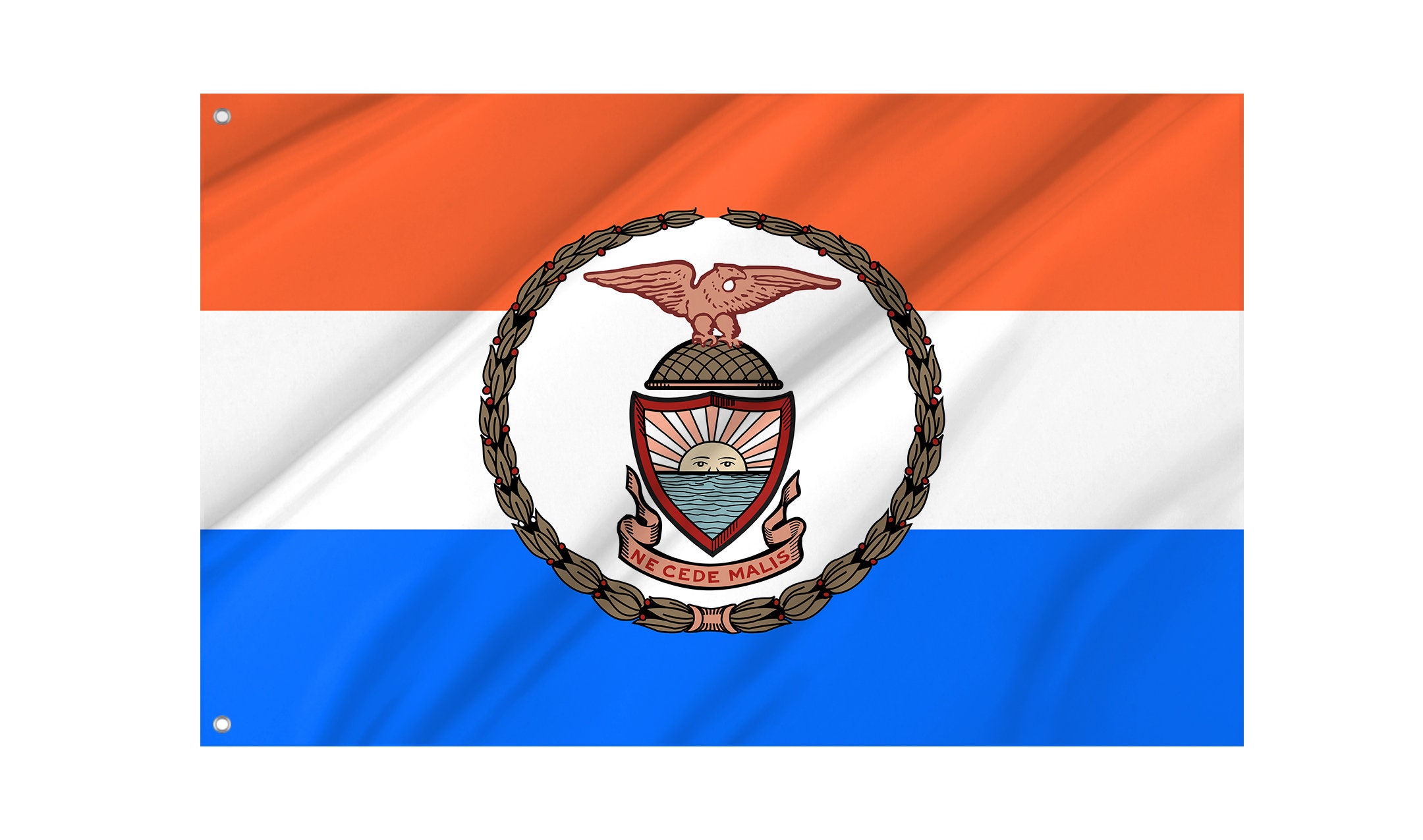 Borough of the Bronx Flag, Unique Design Print, Double Seams, Bright ...