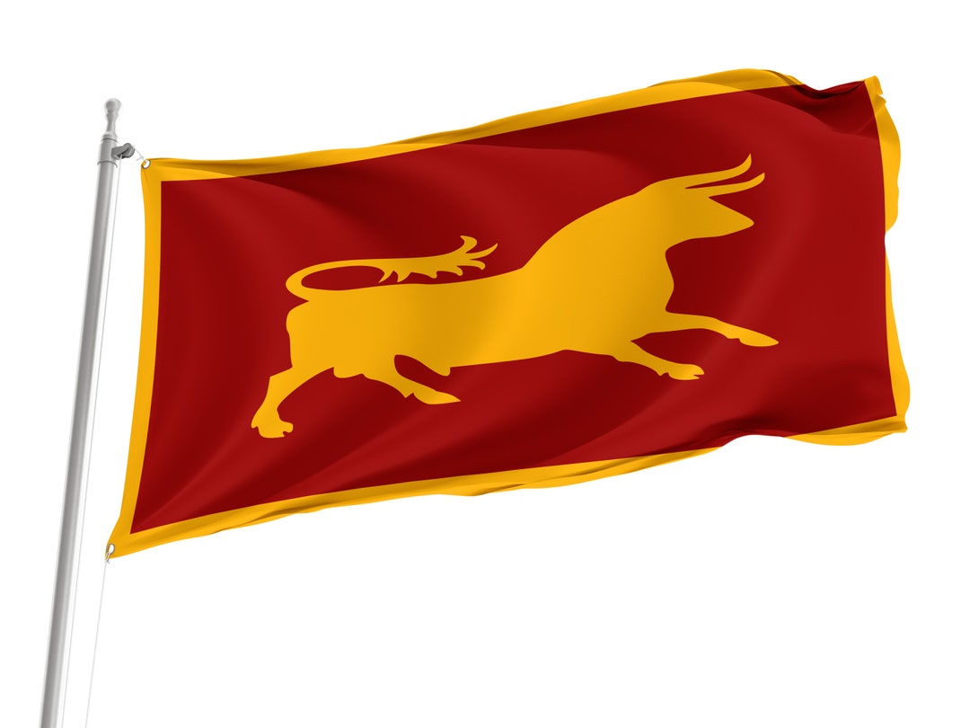 Flag Caesar's Legion, Unique Design Print, Double Sided Large Flag ...