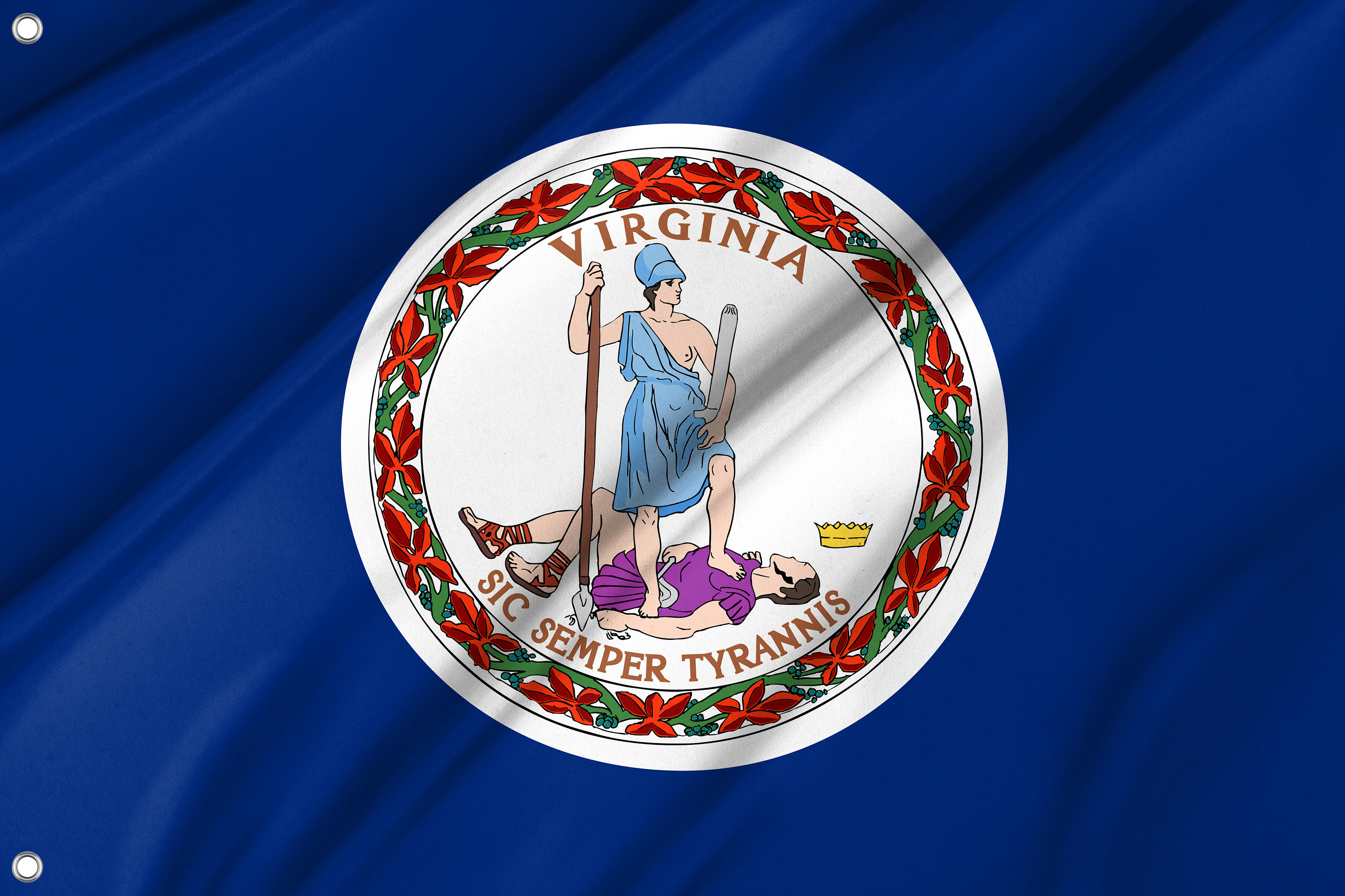 Virginia State Flag, Patriotic Flags, Unique Design Print, USA States ...