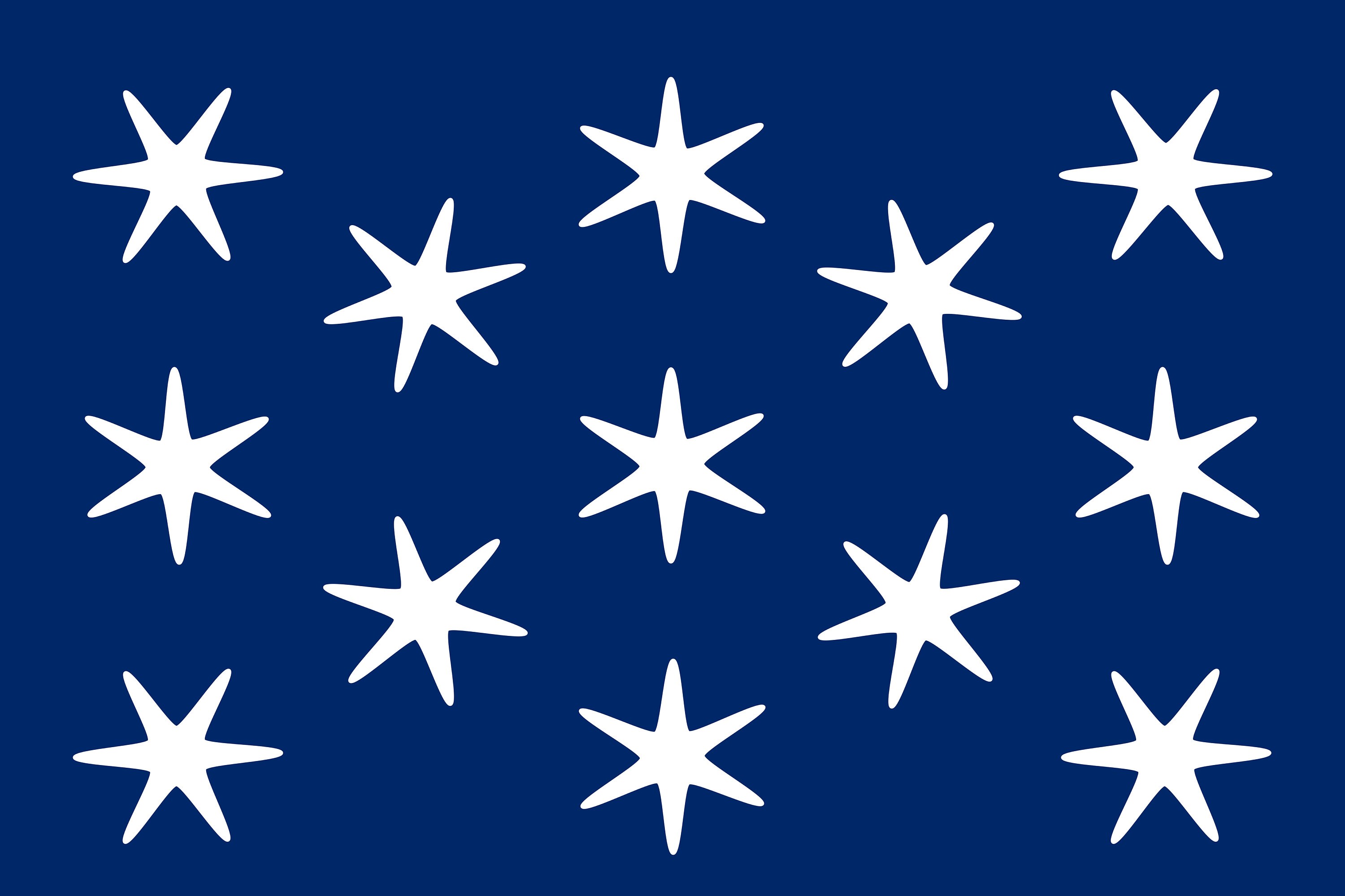 George Washington Personal Position Flag, Unique Design Print, Double ...