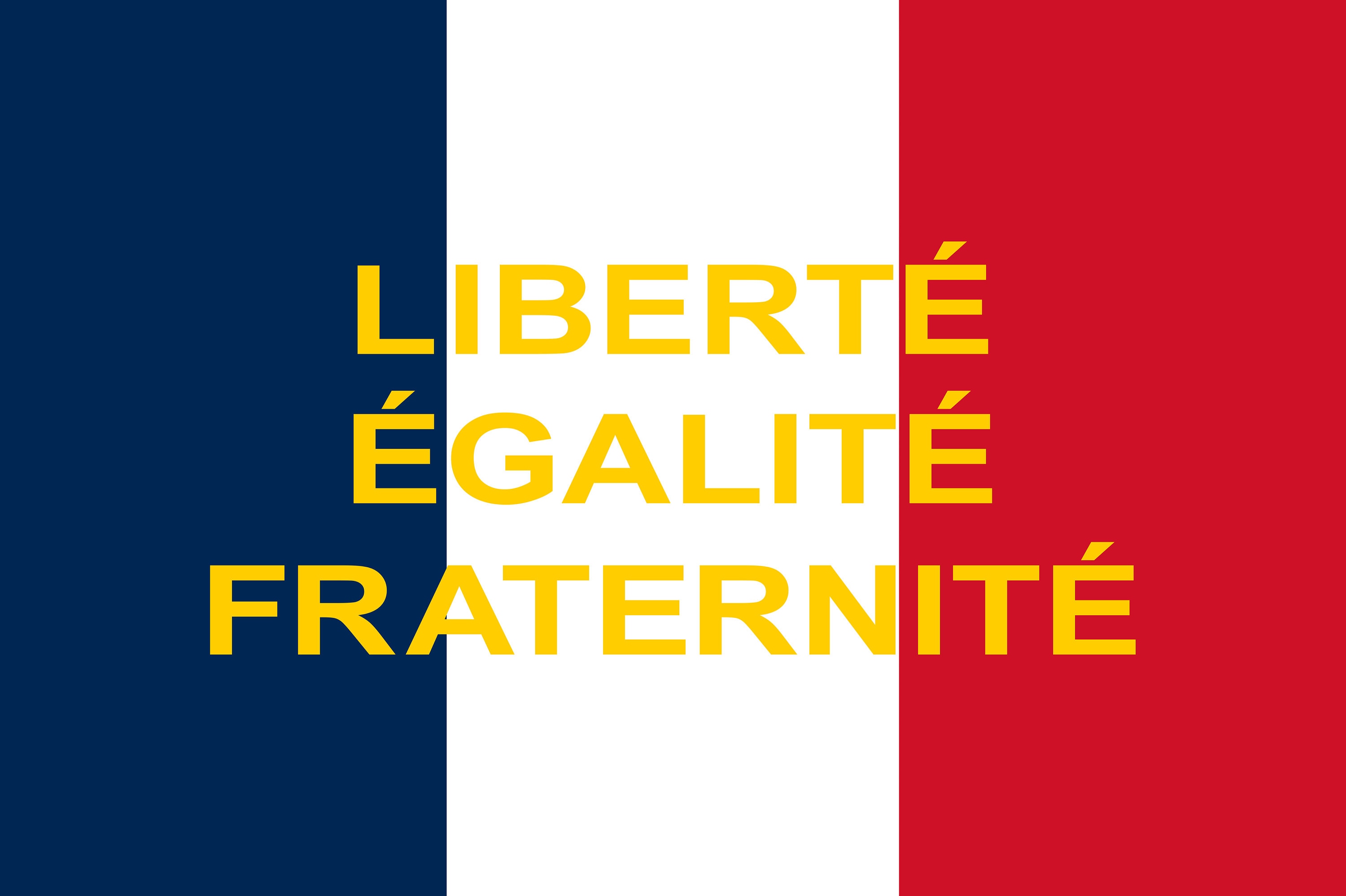 Flag France Liberté Egalité Fraternité With Brass Grommets, Unique ...