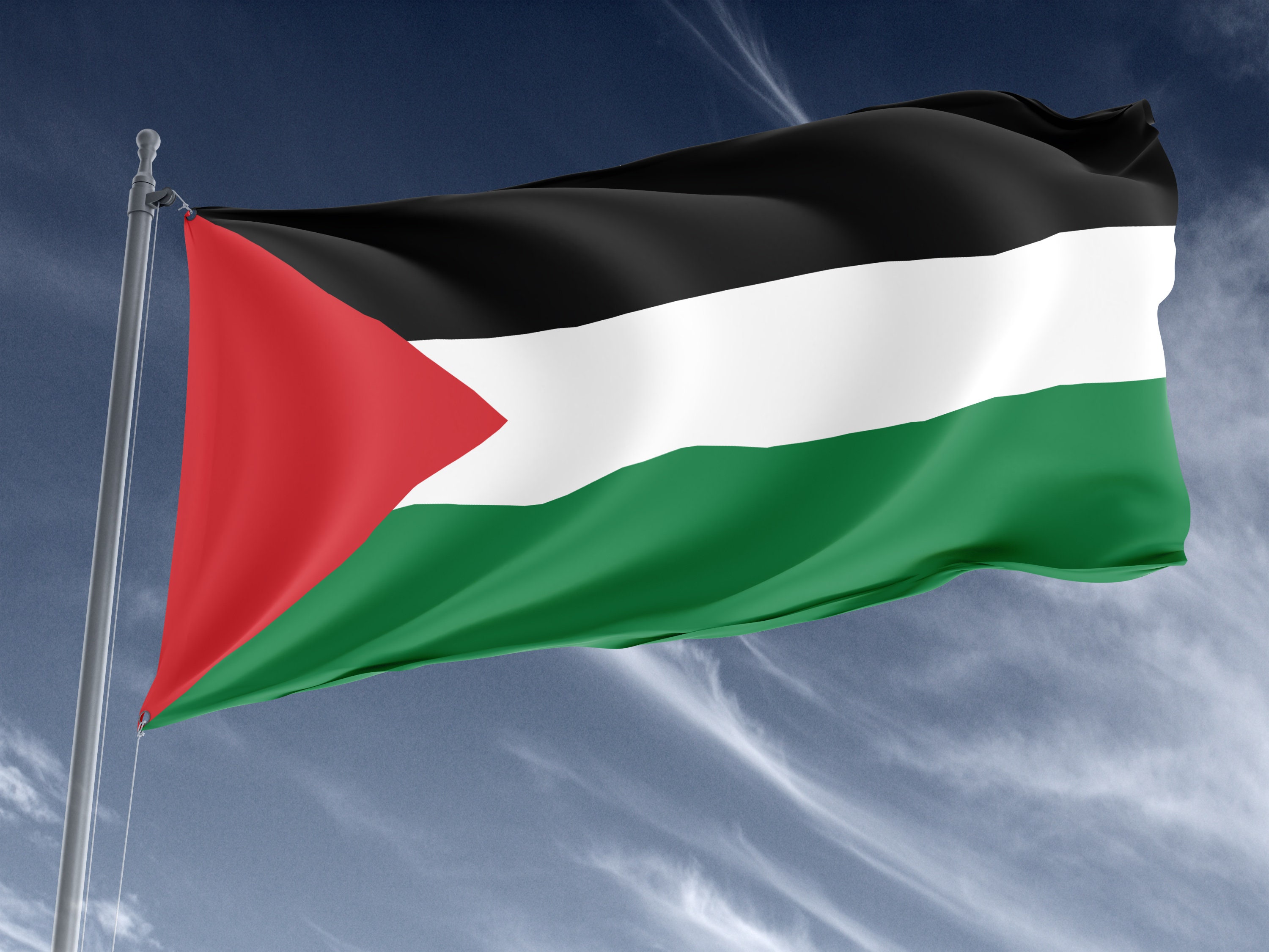 Flag of Palestine Patriotic Flags Unique Design Print Flags - Etsy