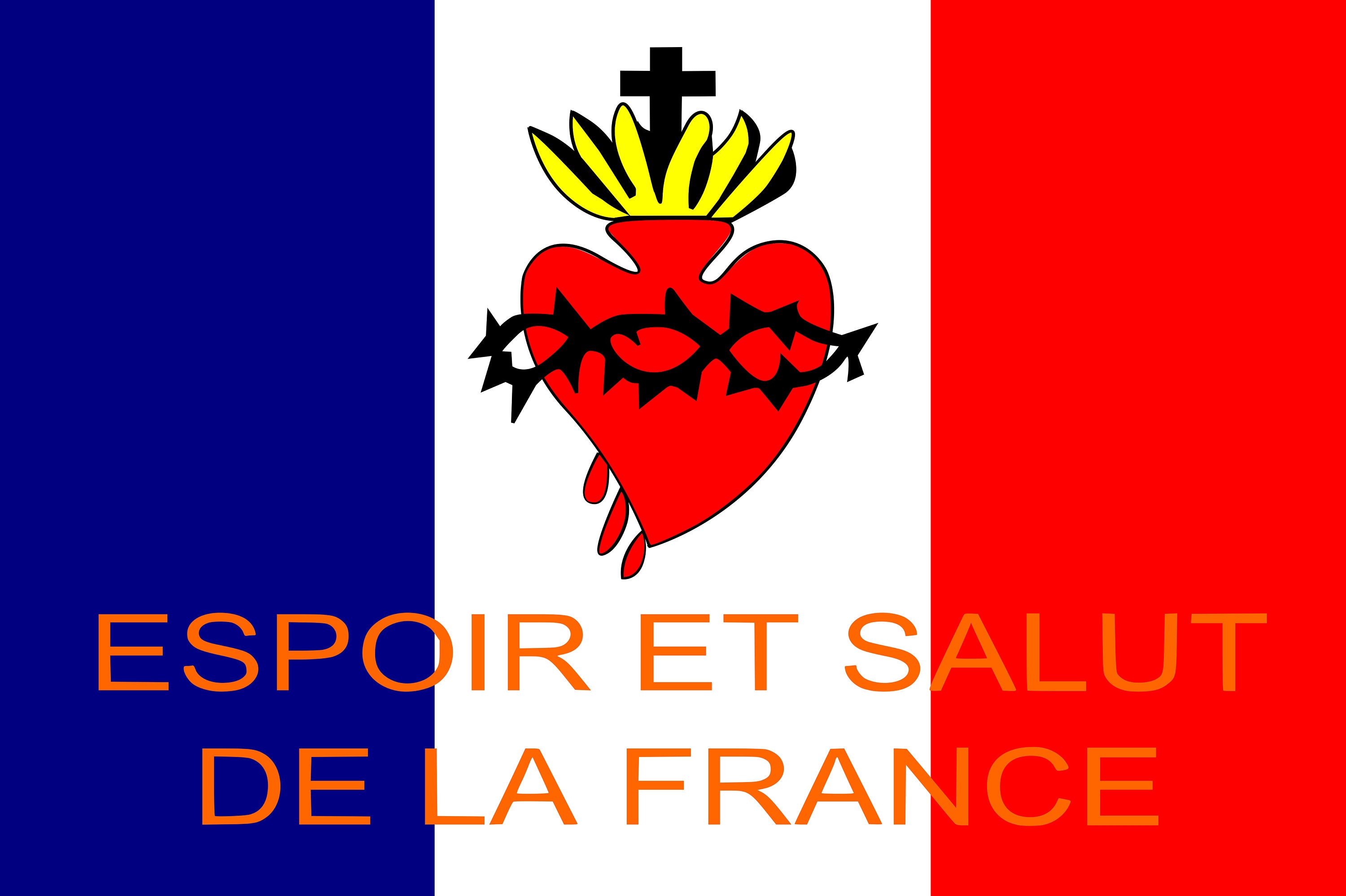 Flag Esf, Espoir Et Salut De La France With Brass Grommets, Unique ...