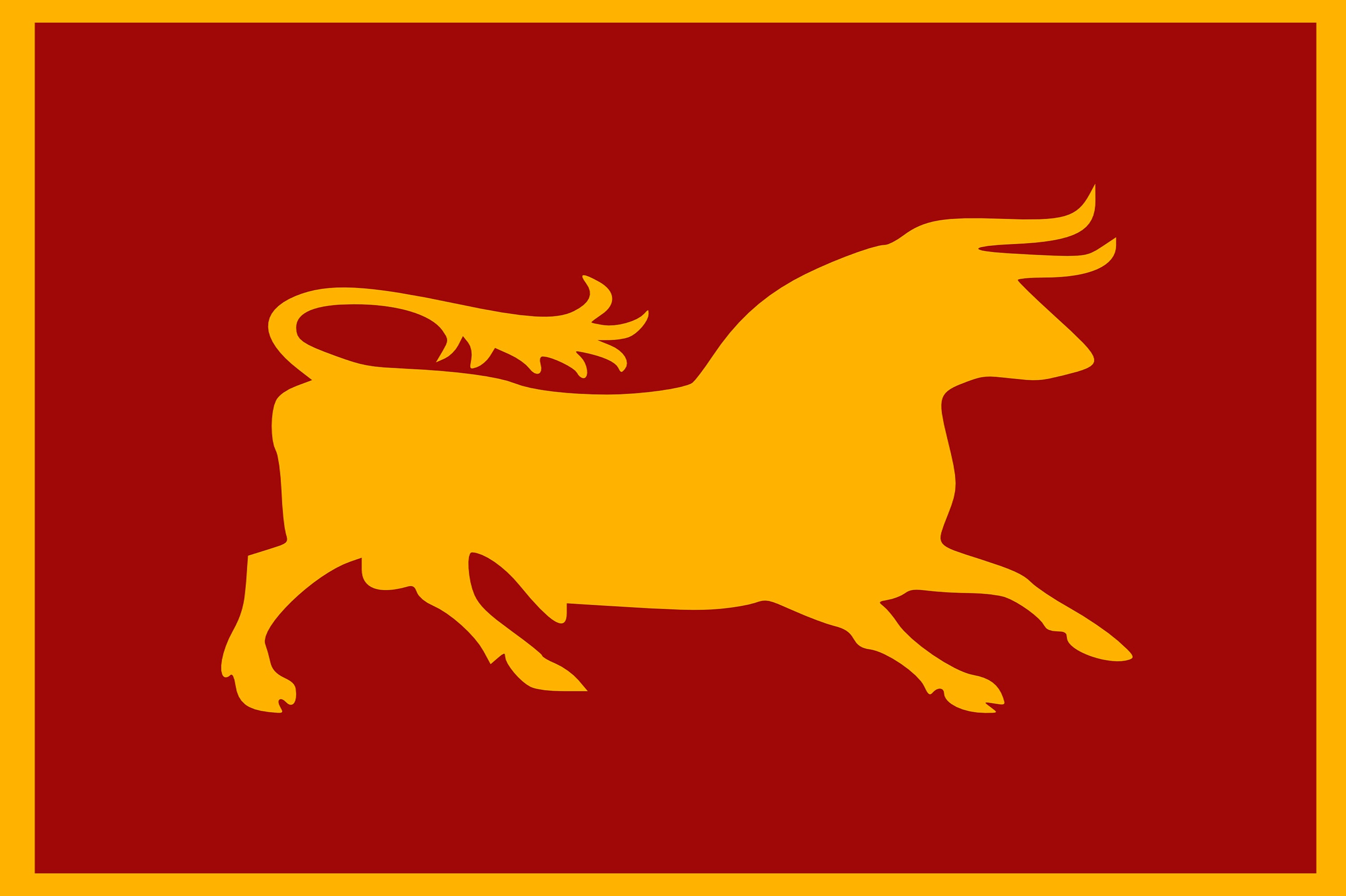 Flag Caesar's Legion, Unique Design Print, Double Sided Large Flag ...