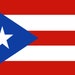 Flag of Puerto Rico, Patriotic Flags, Unique Design Print, Flags for ...