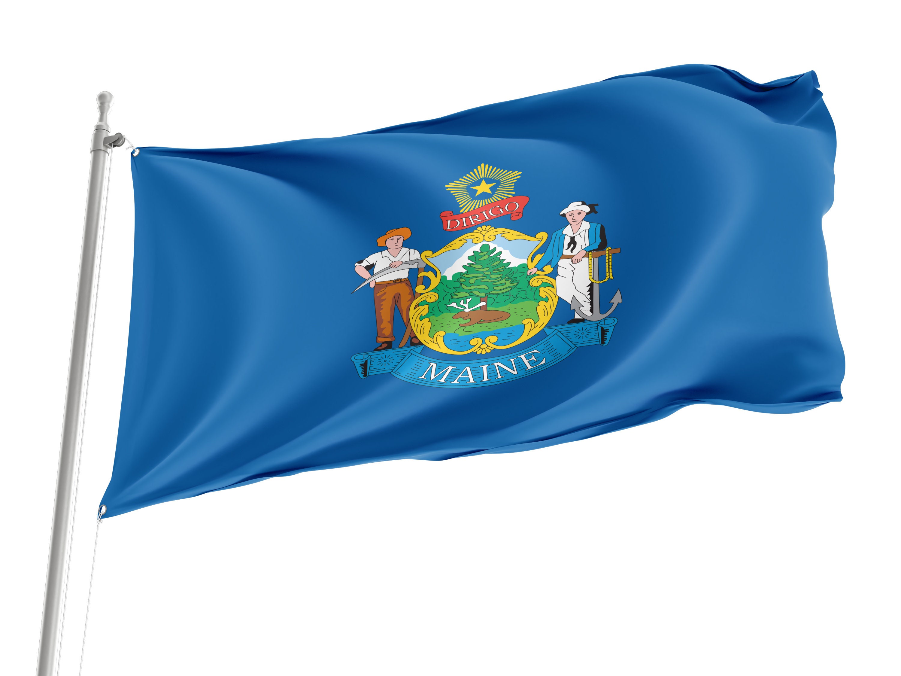 MAINE FLAG ; ; - US STATE OF MAINE FLAGS - BANNER H C $3.94 gefinforma.com