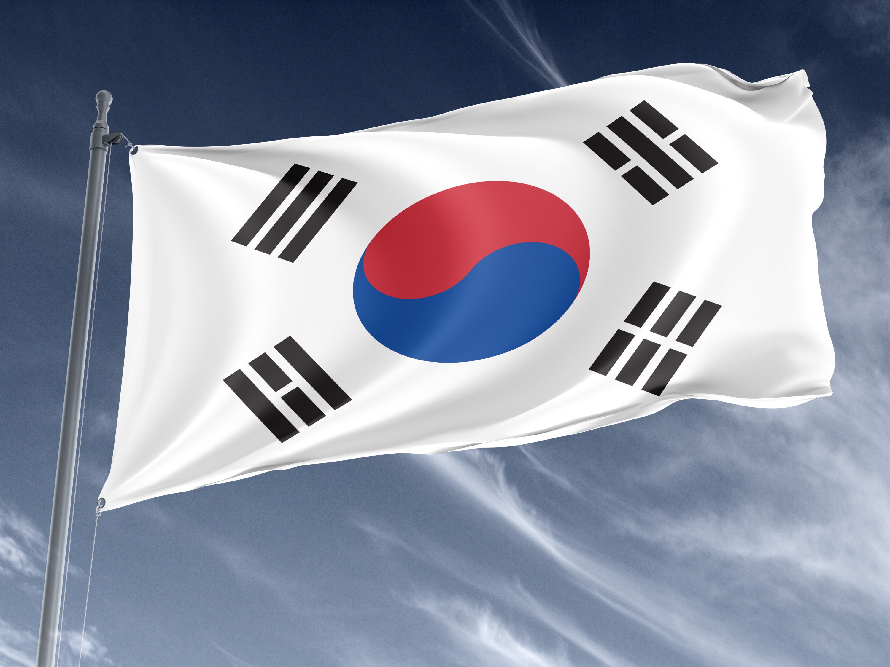 Flag of South Korea Patriotic Flags Unique Design Print - Etsy