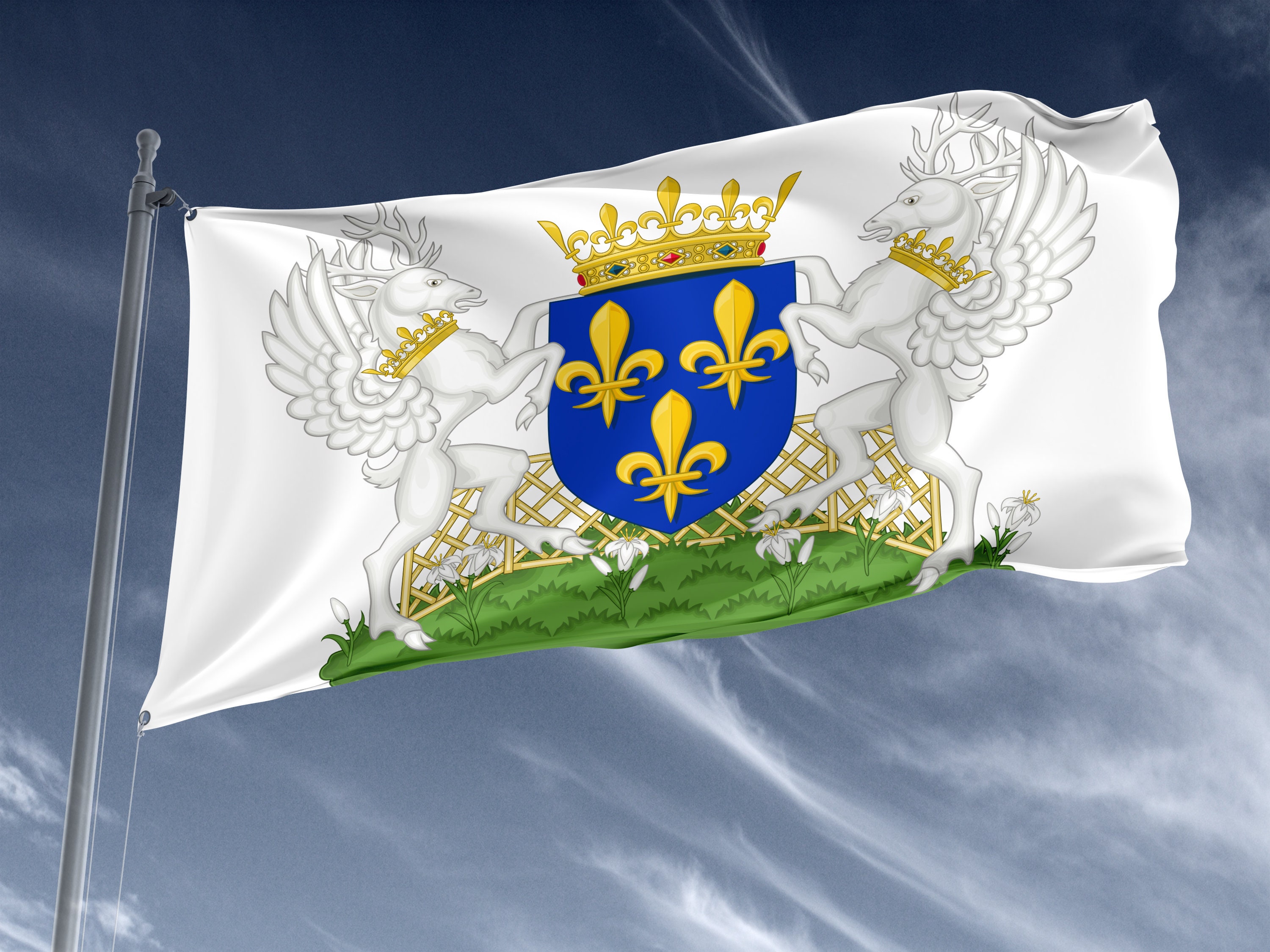 Flag Coat of Arms of the King Charles VII of France 1422-146, Unique ...
