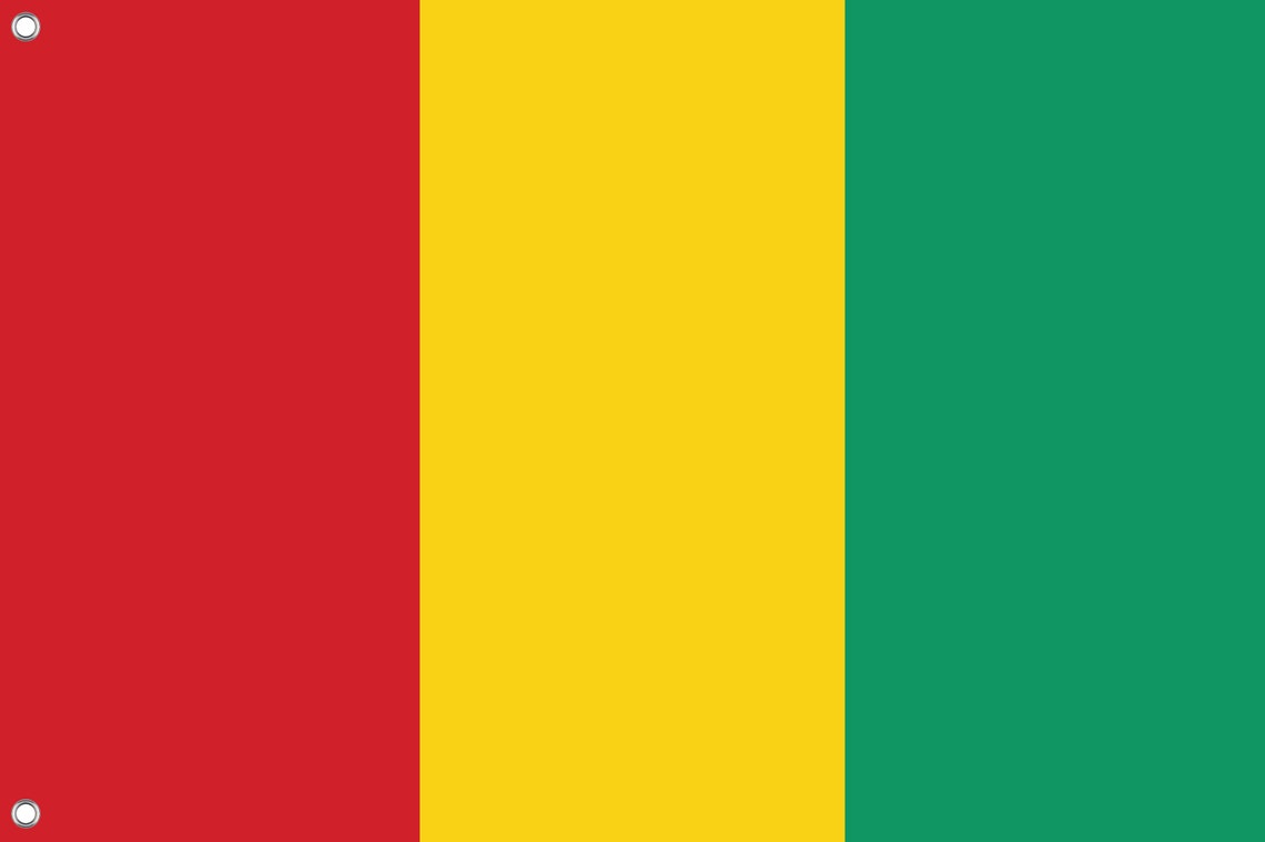 Guinea Flag: Patriotic Indoor/outdoor Decor (3x5 Ft) - Etsy