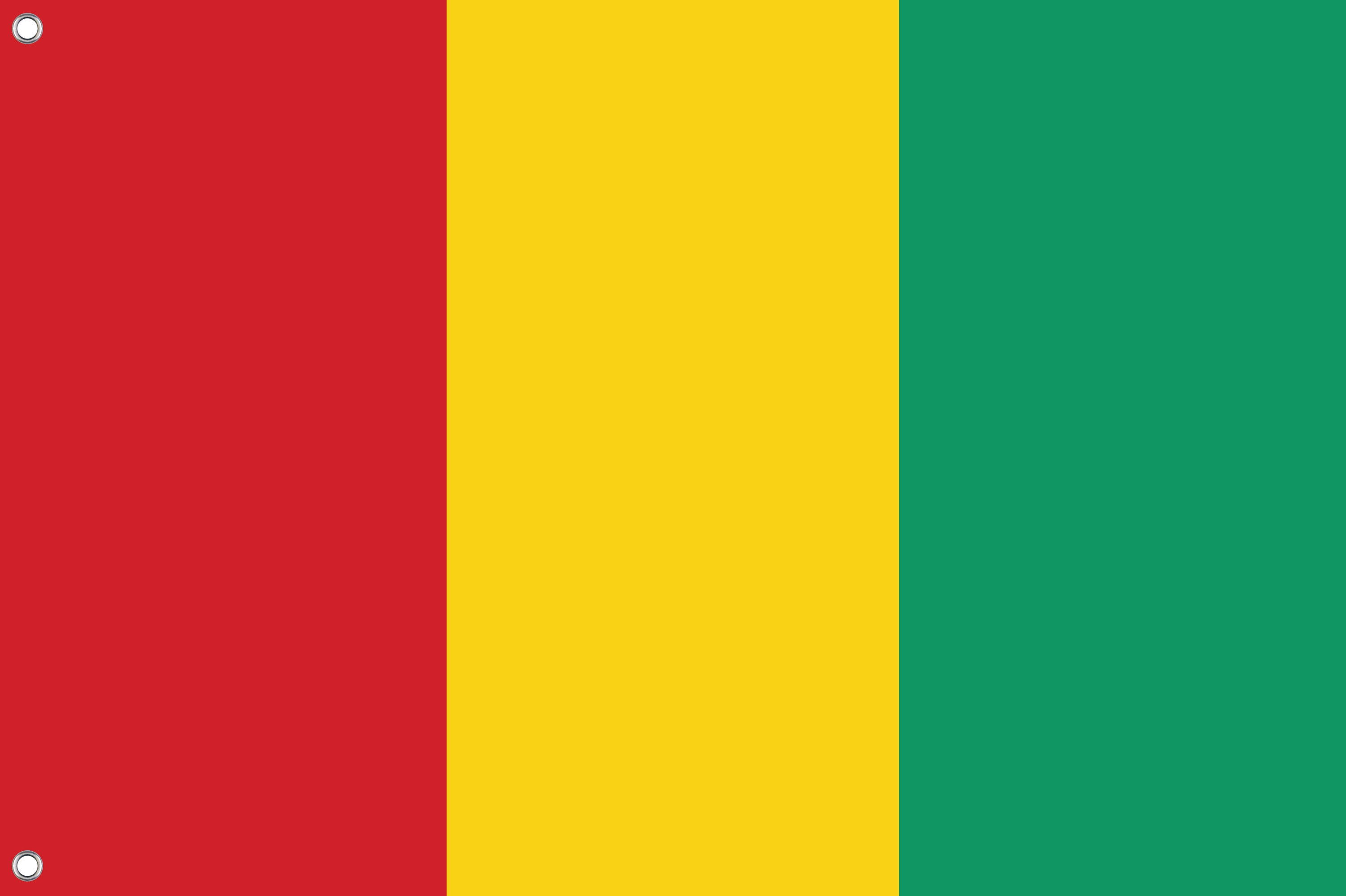Flag of Guinea Patriotic Flags Unique Design Print Flags - Etsy