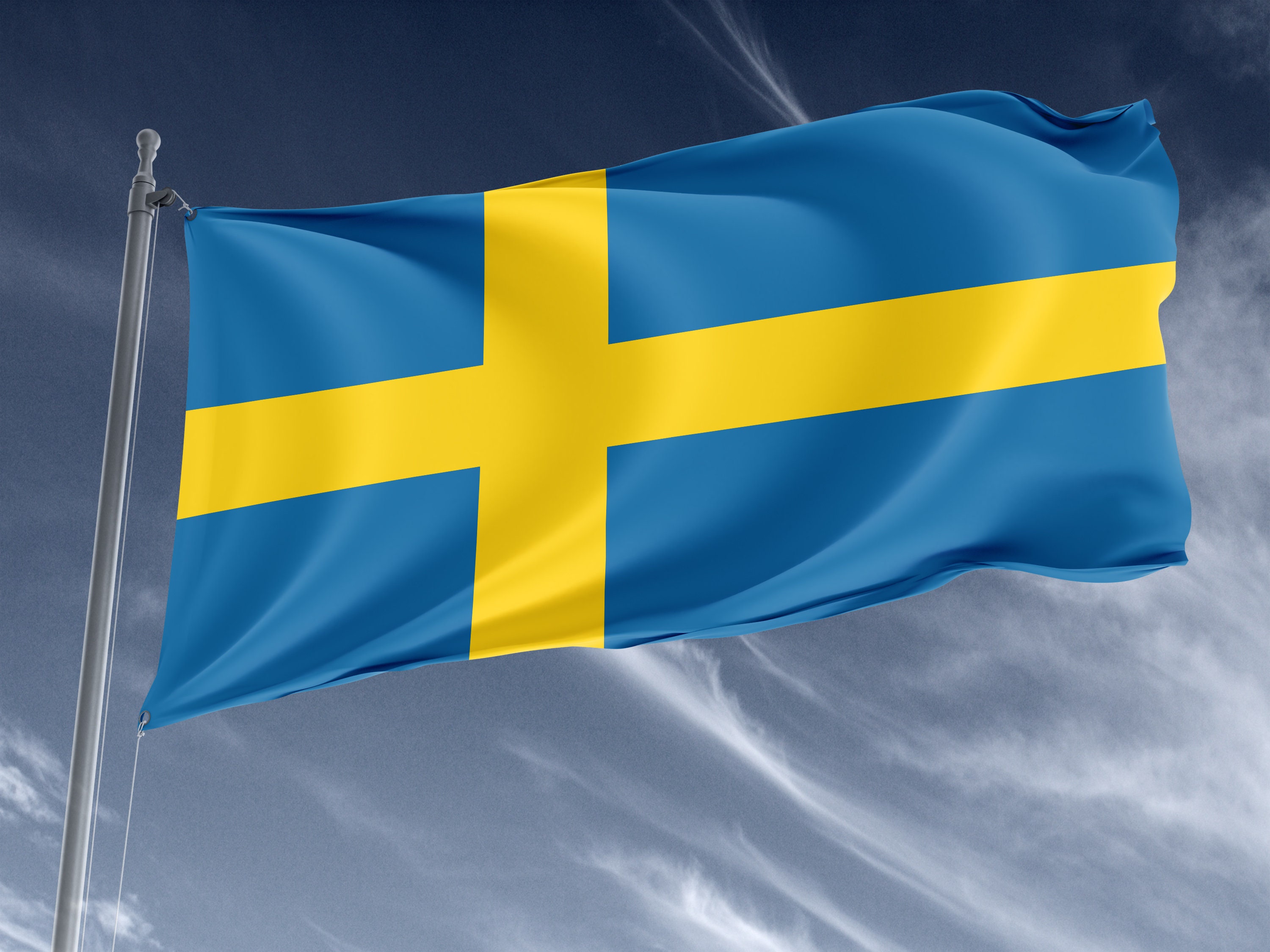 Flag of Sweden, Patriotic Flags, Unique Design Print, Flags for Indoor ...