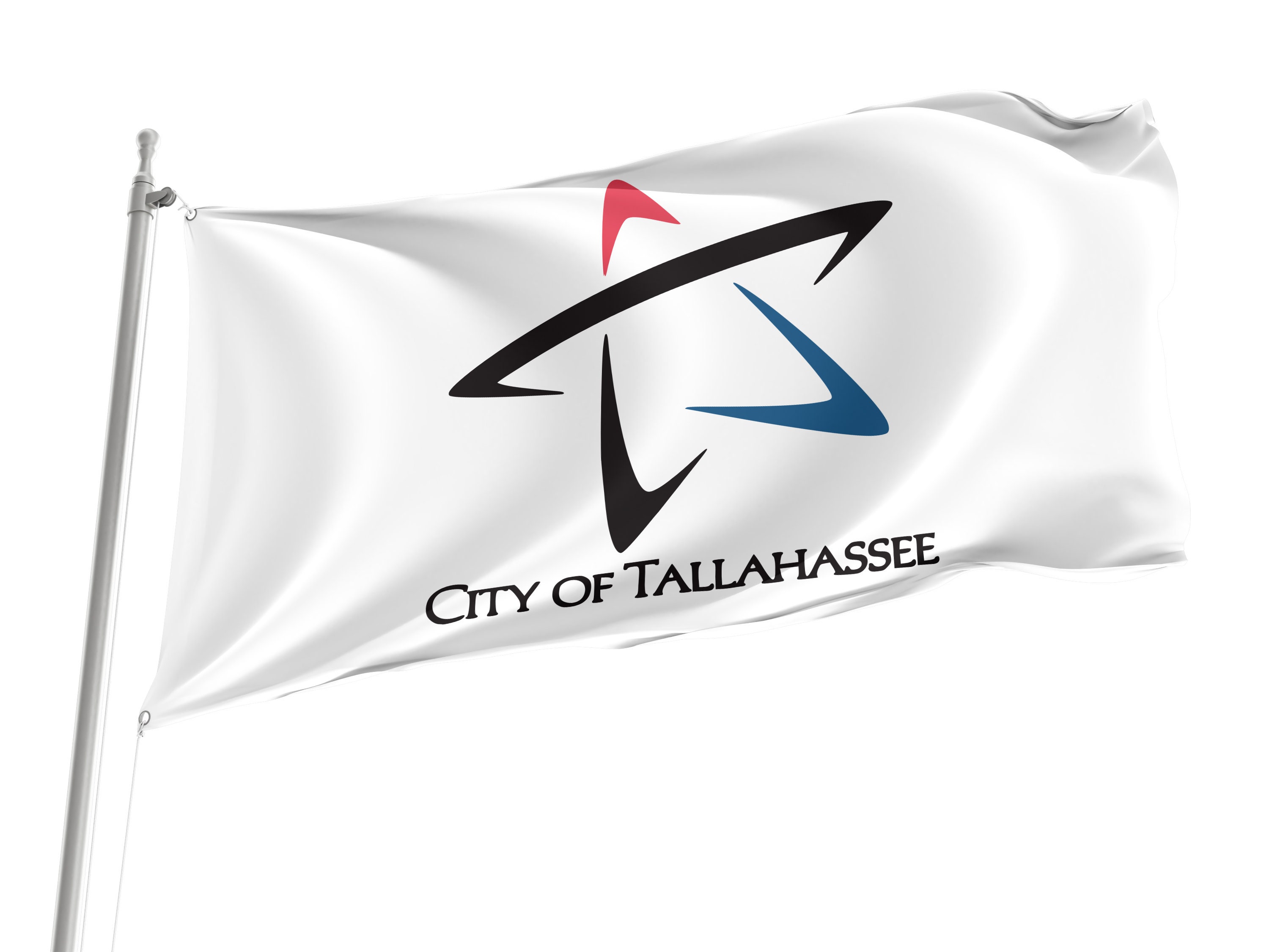 Tallahassee Florida Flag: Unique Design, Bright Colors (3x5 Ft) - Etsy