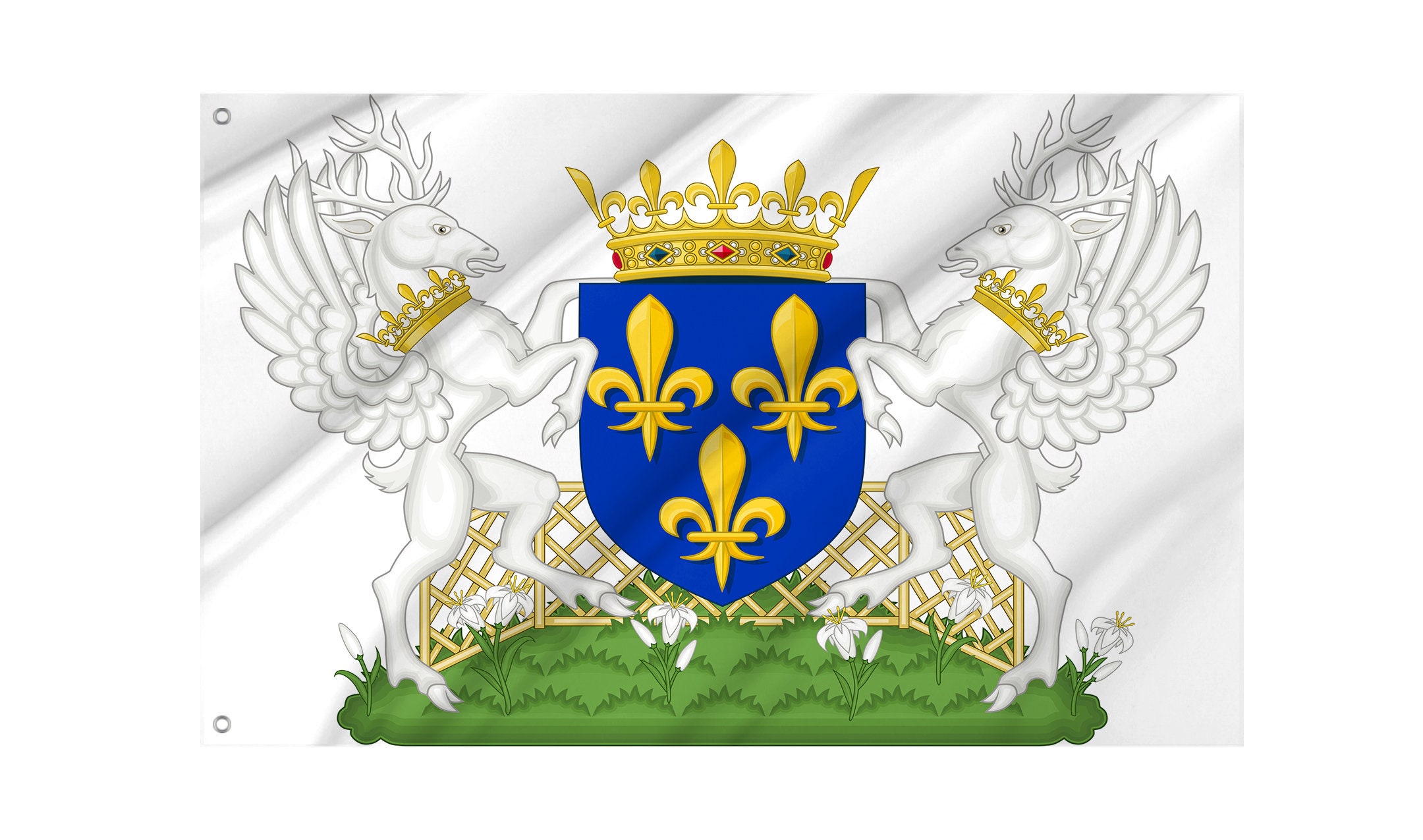 Flag Coat of Arms of the King Charles VII of France 1422-146, Unique ...