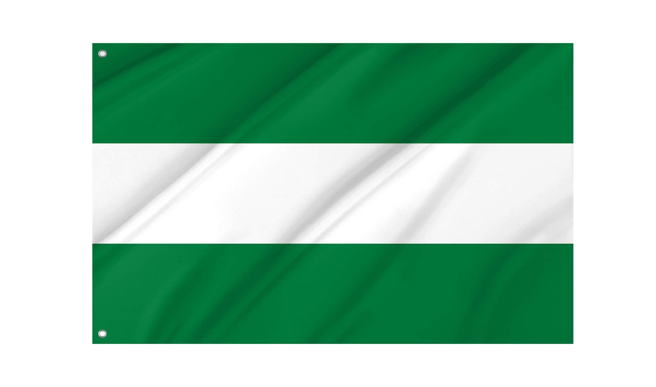 Flag of Santa Cruz, Bolivia, Unique Design Print, Flags for Indoor ...