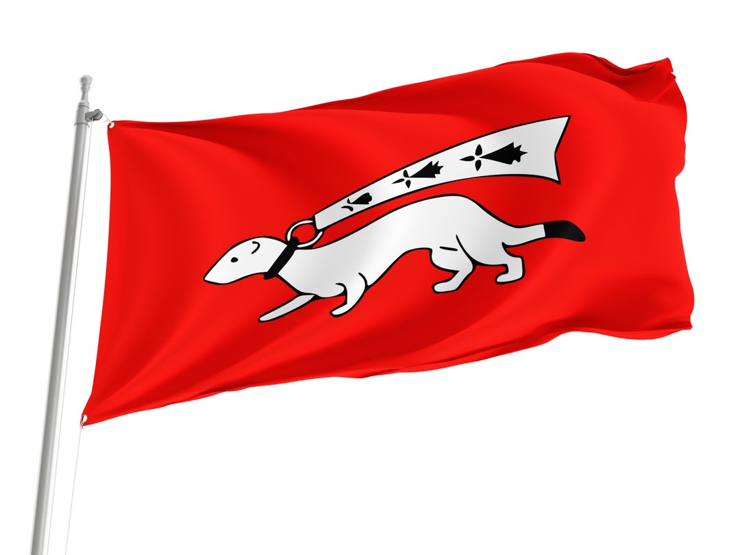 Flag of Vannes With Brass Grommets, France, Unique Design Print, Double ...