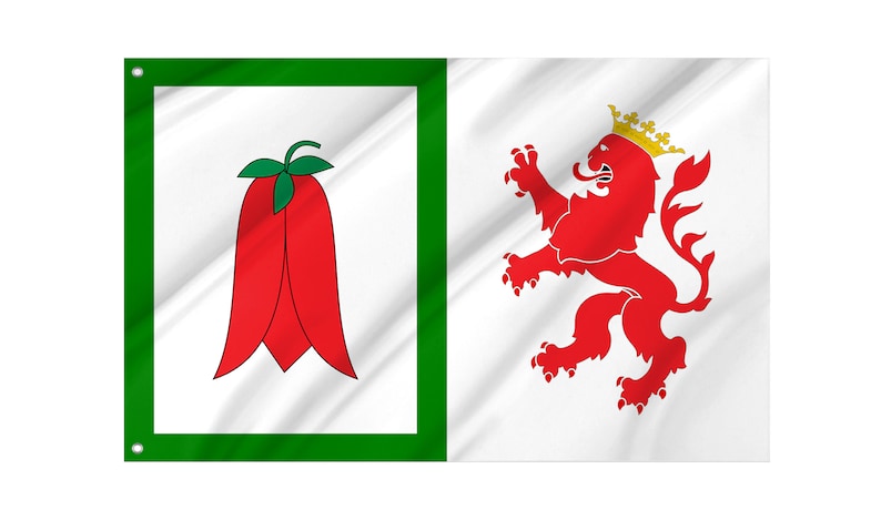 Arauco Chile Flag: Unique Design, Indoor/outdoor Use (3x5ft) - Etsy