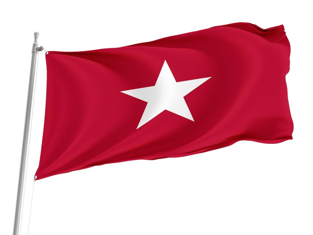 Jane Long Flag: Unique Design, Double Sided (3x5ft / 90x150cm) - Etsy