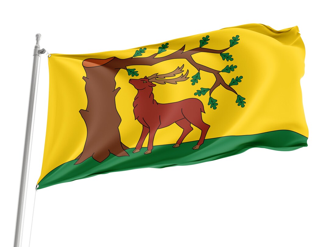 Flag of Berkshire, Unique Design Print, Flags for Indoor & Outdoor Use ...