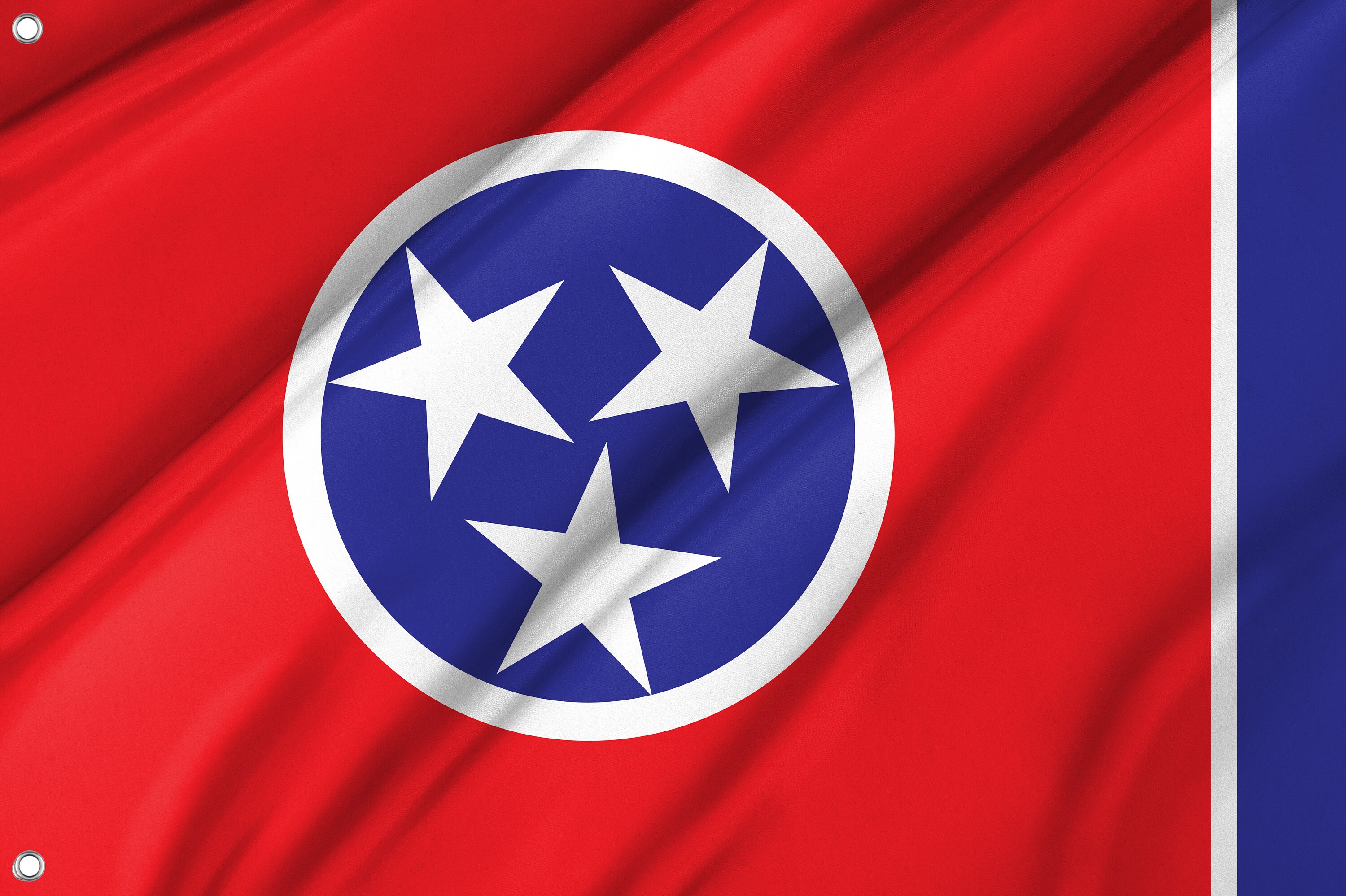 Tennessee State Flag, Patriotic Flags, Unique Design Print, USA States ...