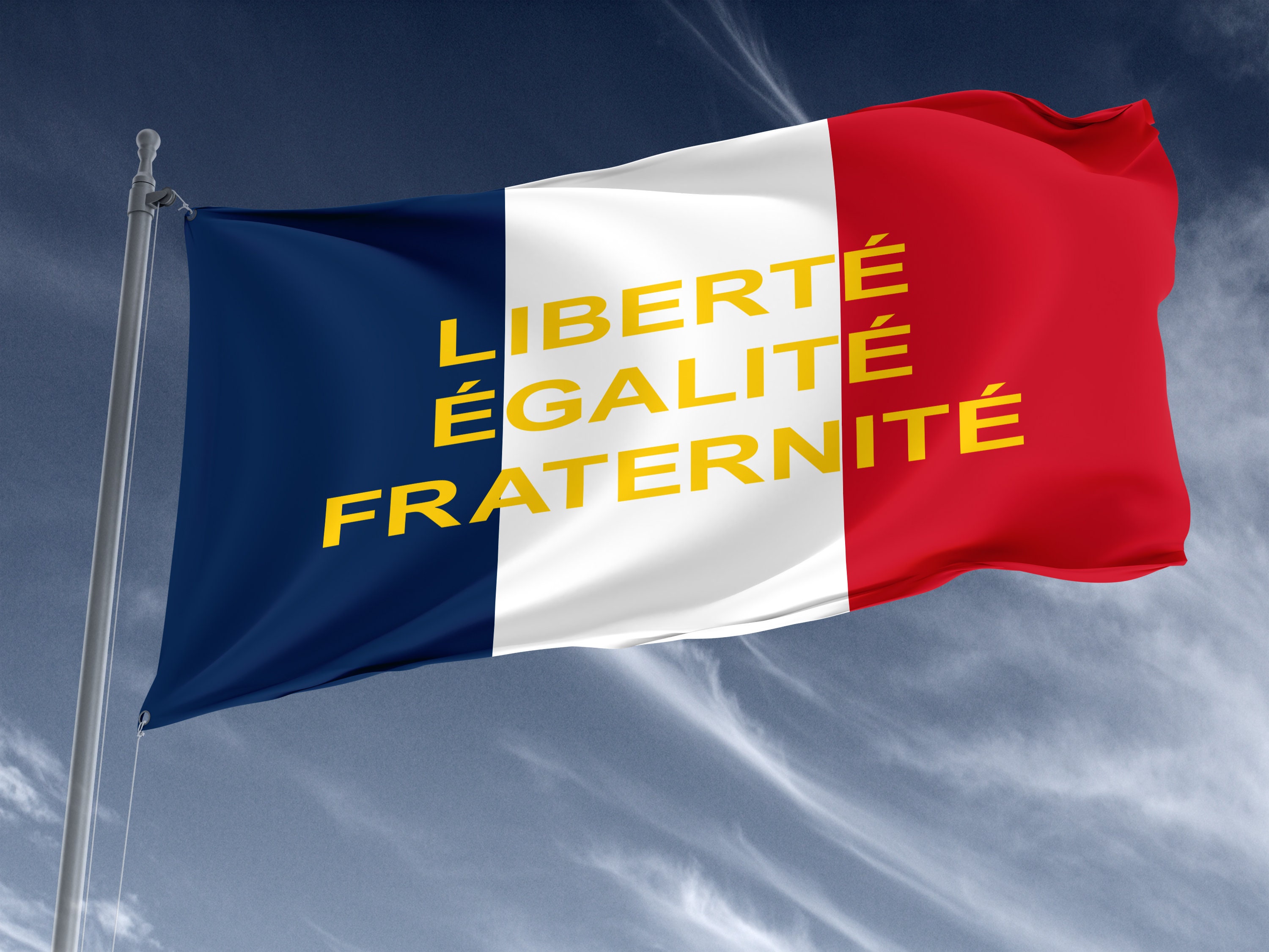 Flag France Liberté Egalité Fraternité With Brass Grommets, Unique ...
