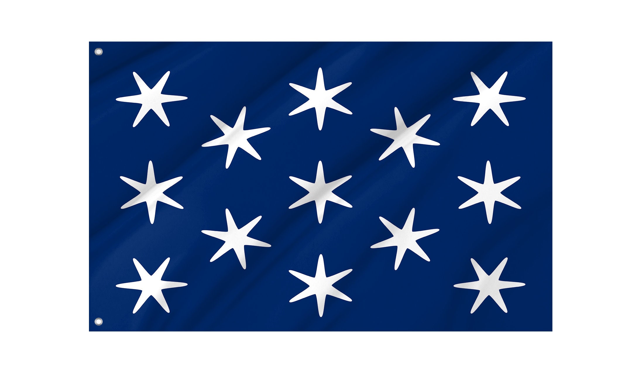 George Washington Personal Position Flag, Unique Design Print, Double ...