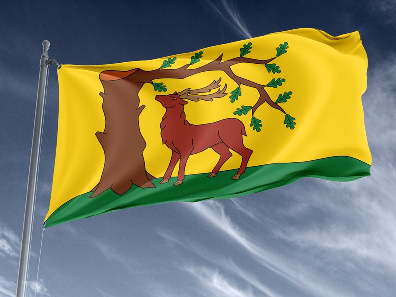 Berkshire Flag: British County Design, Indoor/outdoor Use (3x5 Ft) - Etsy