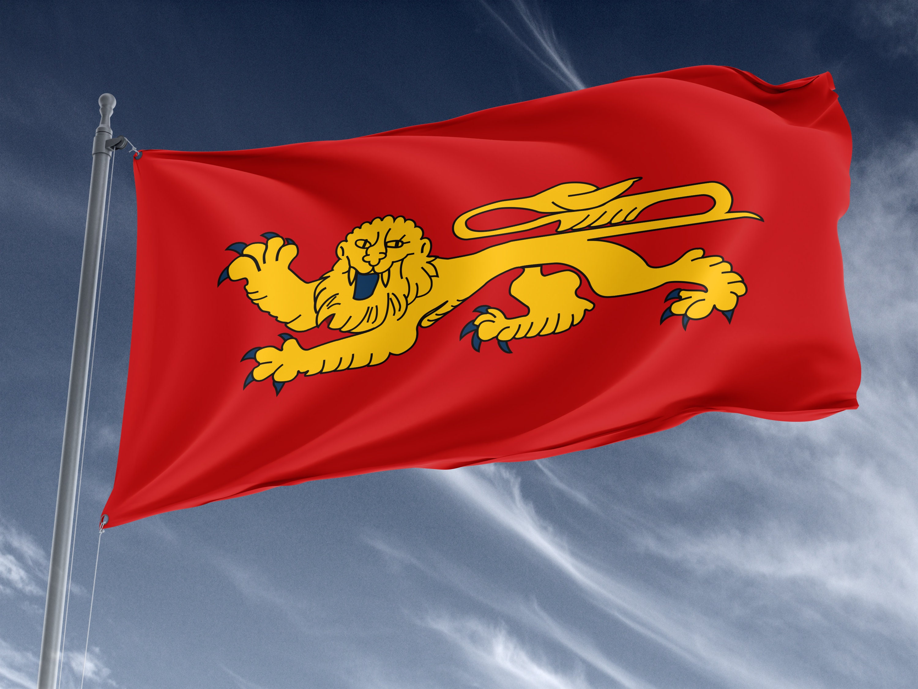 Flag of French Province Aquitaine With Brass Grommets, Unique Design ...