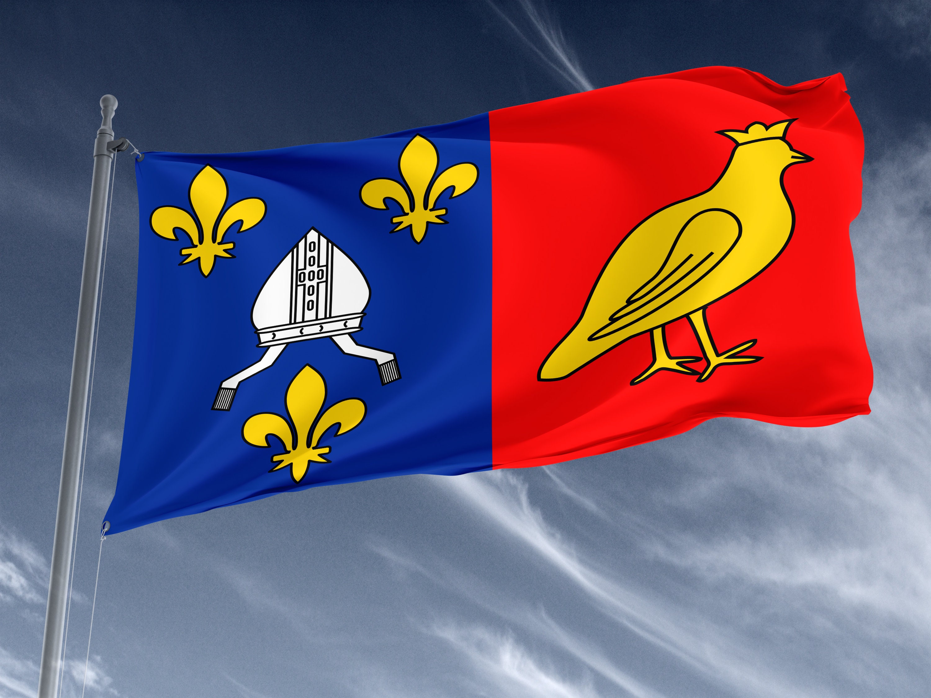 Charente-maritime Flag: France Region Design, 3x5 Ft - Etsy